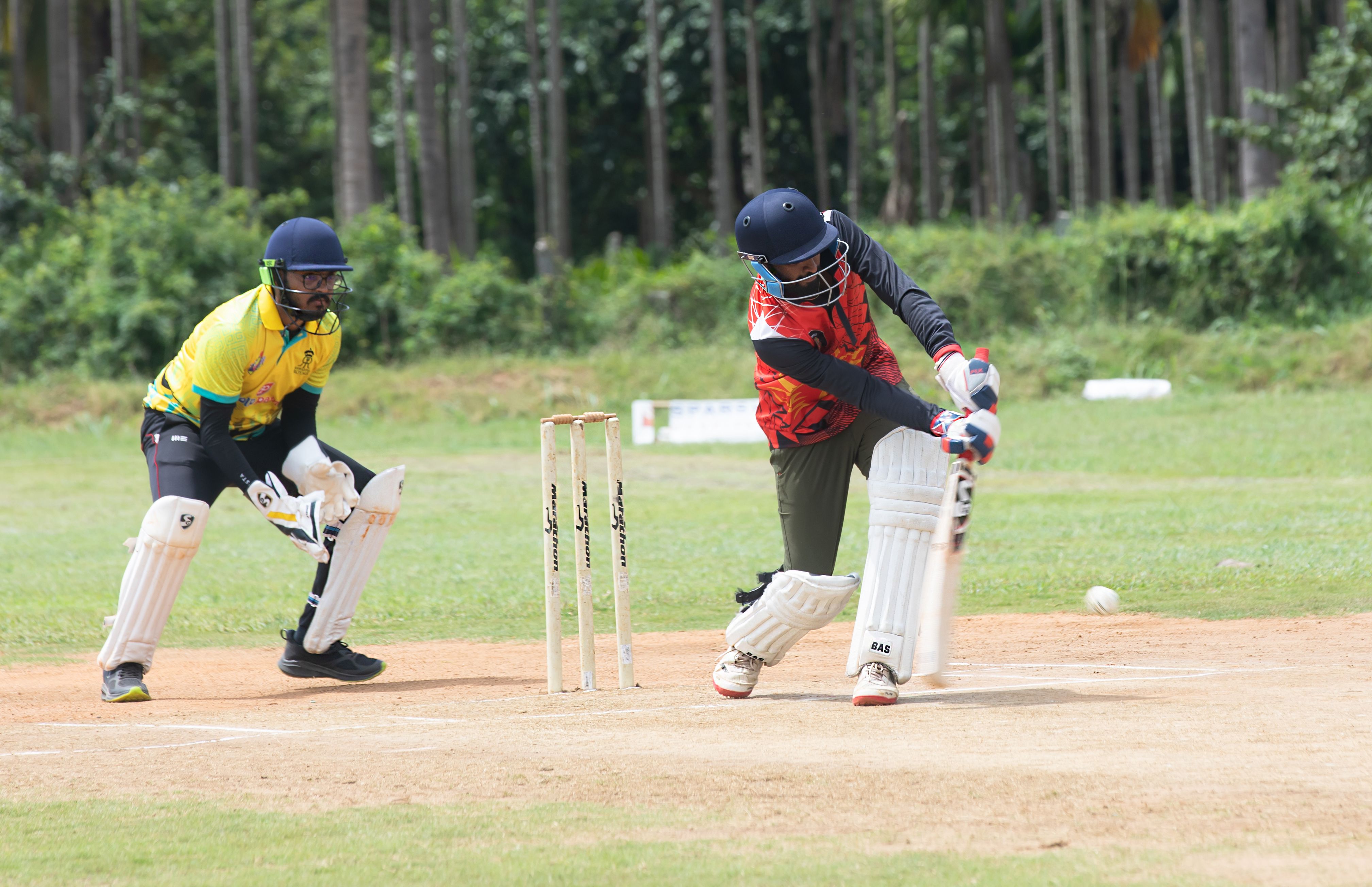 Dynamic Cricket Match in Action Outdoors · Free Stock Photo