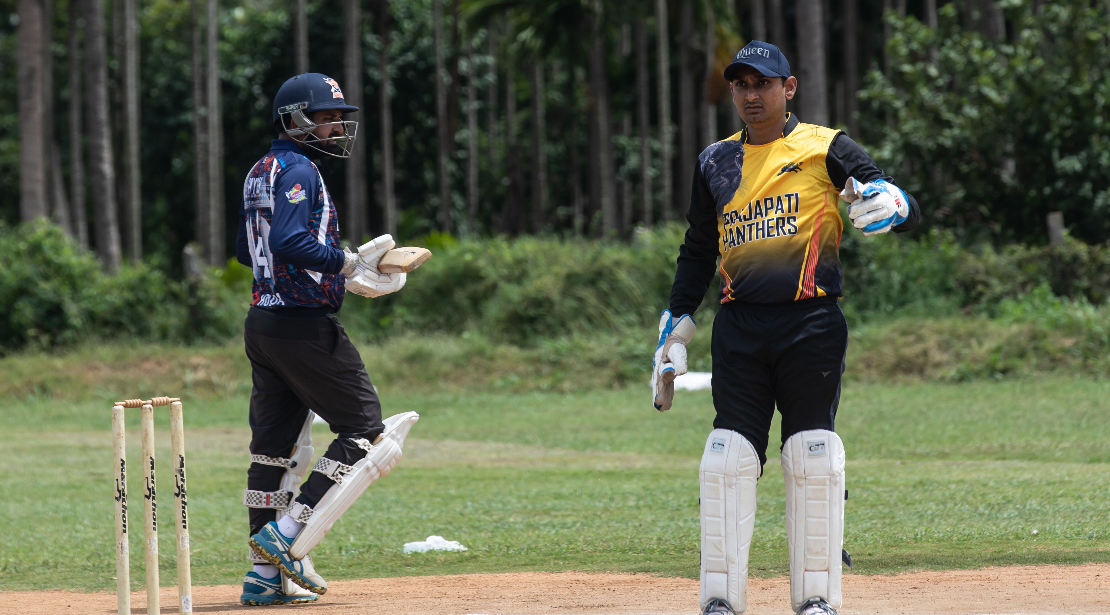 Intense Cricket Match Action Under Sunny Skies · Free Stock Photo