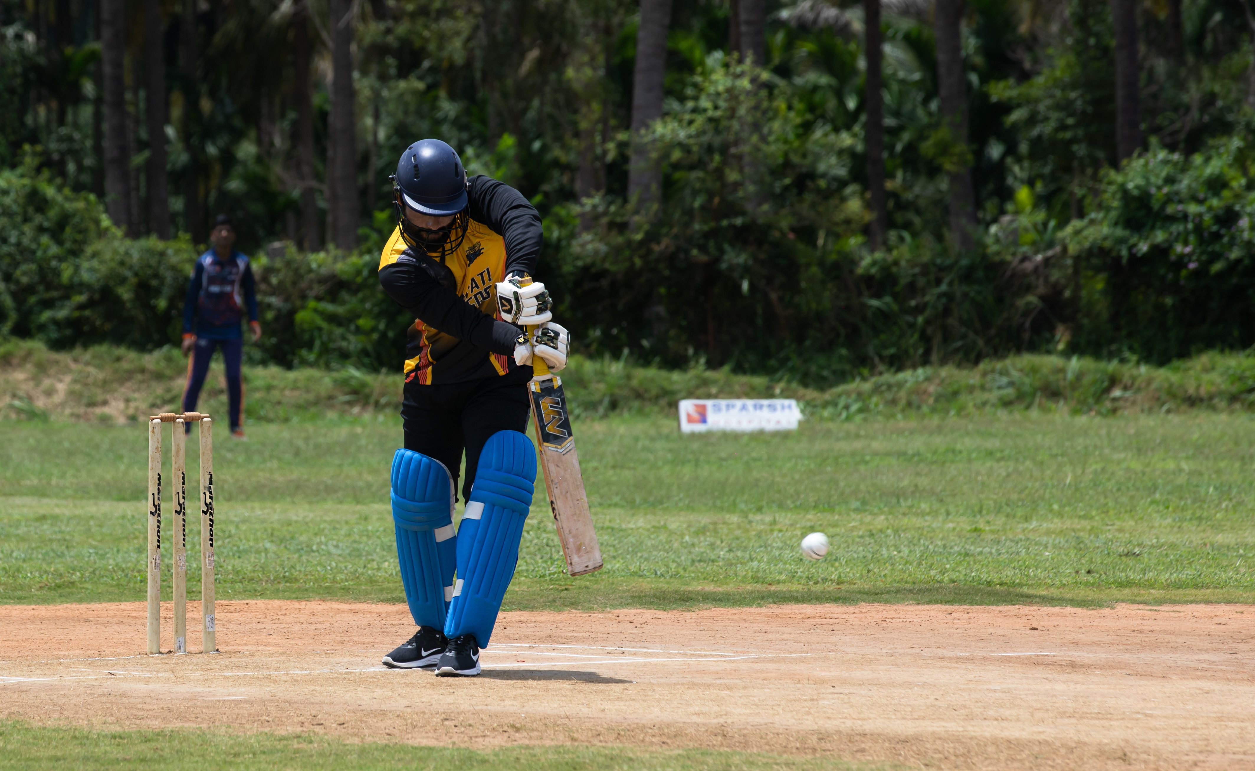Cricket Player in Action on Sunny Day · Free Stock Photo