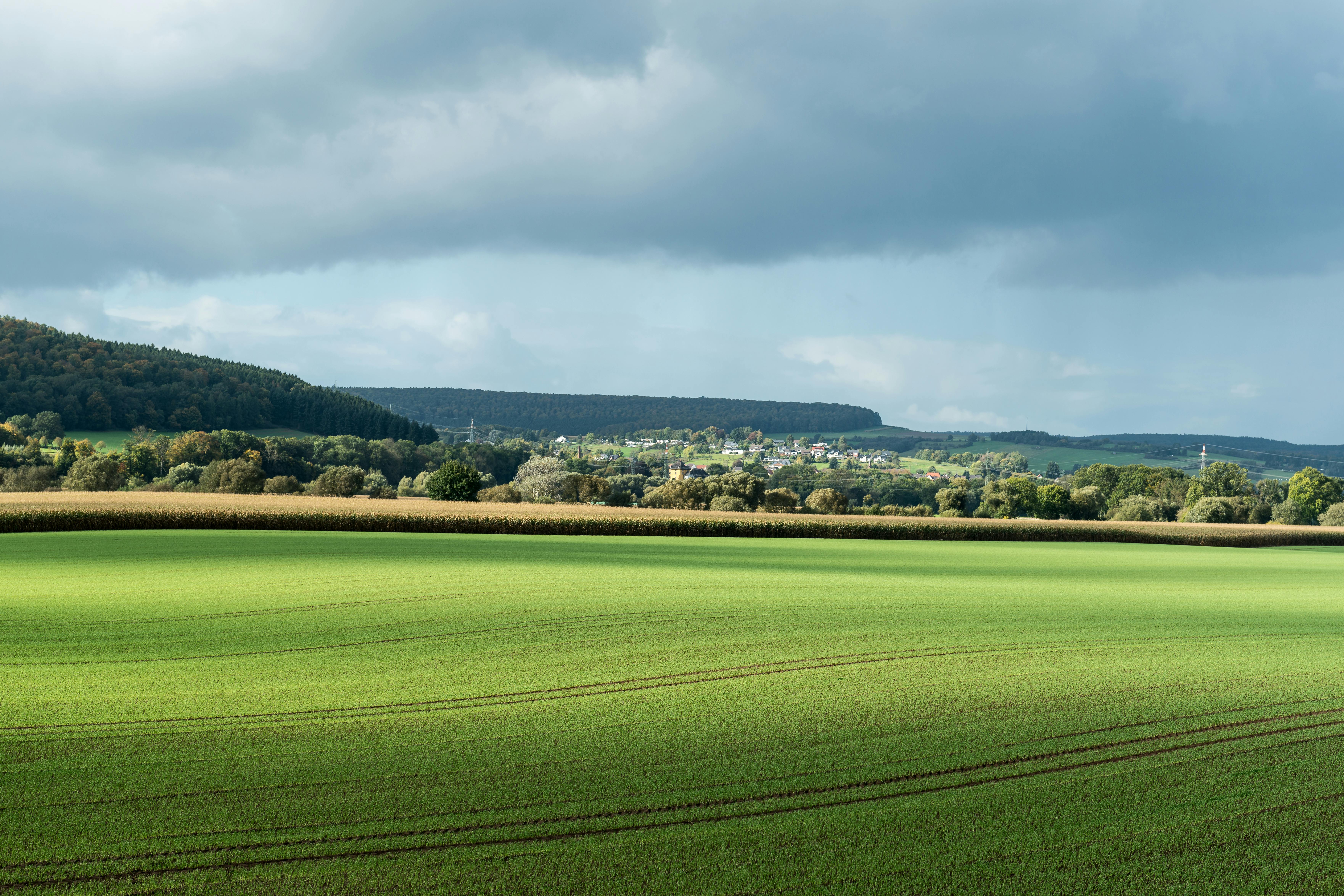 Expansive Green Fields in Höxter, Germany · Free Stock Photo