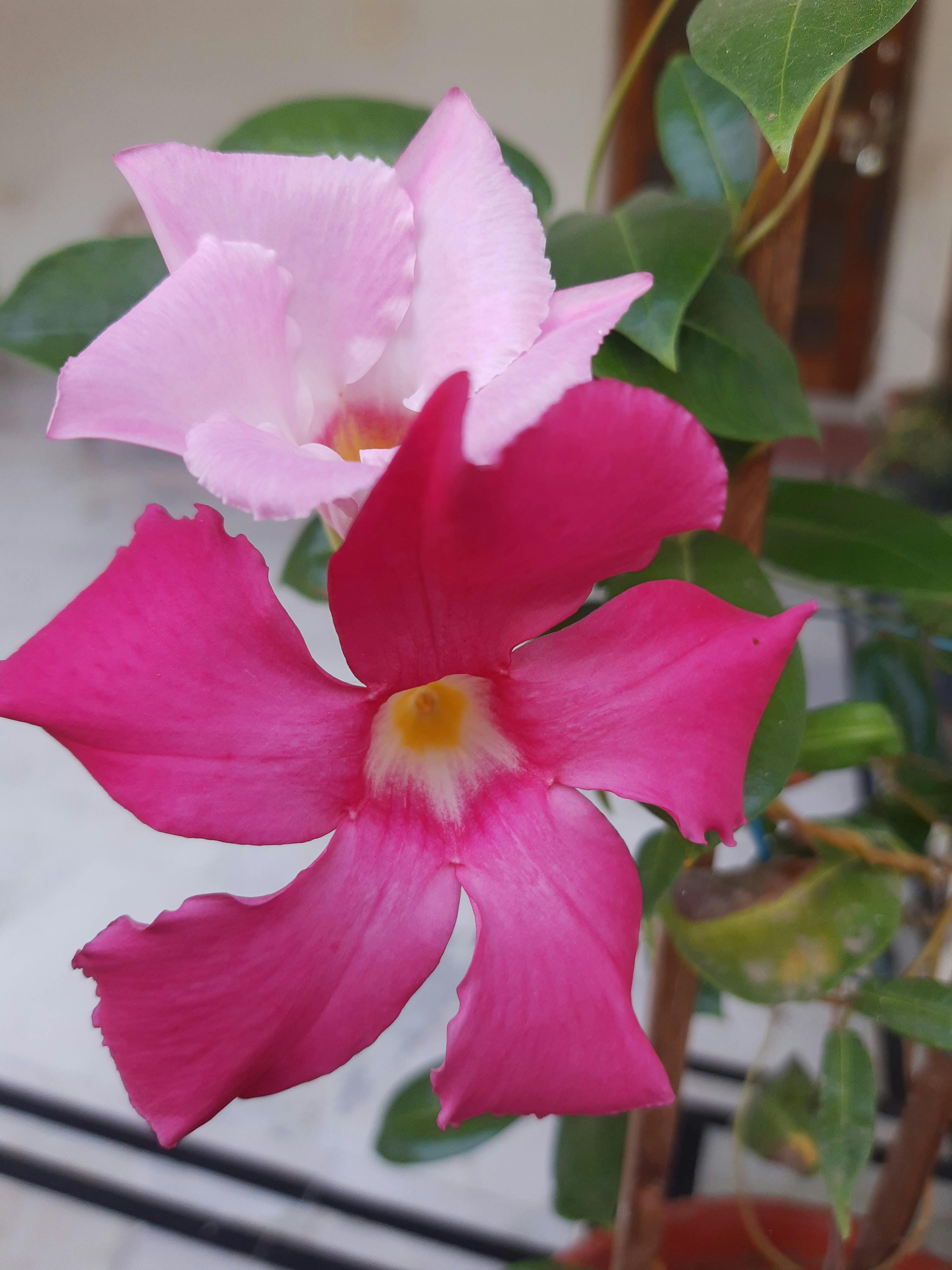 Bhupender Singh Jarial - Photography