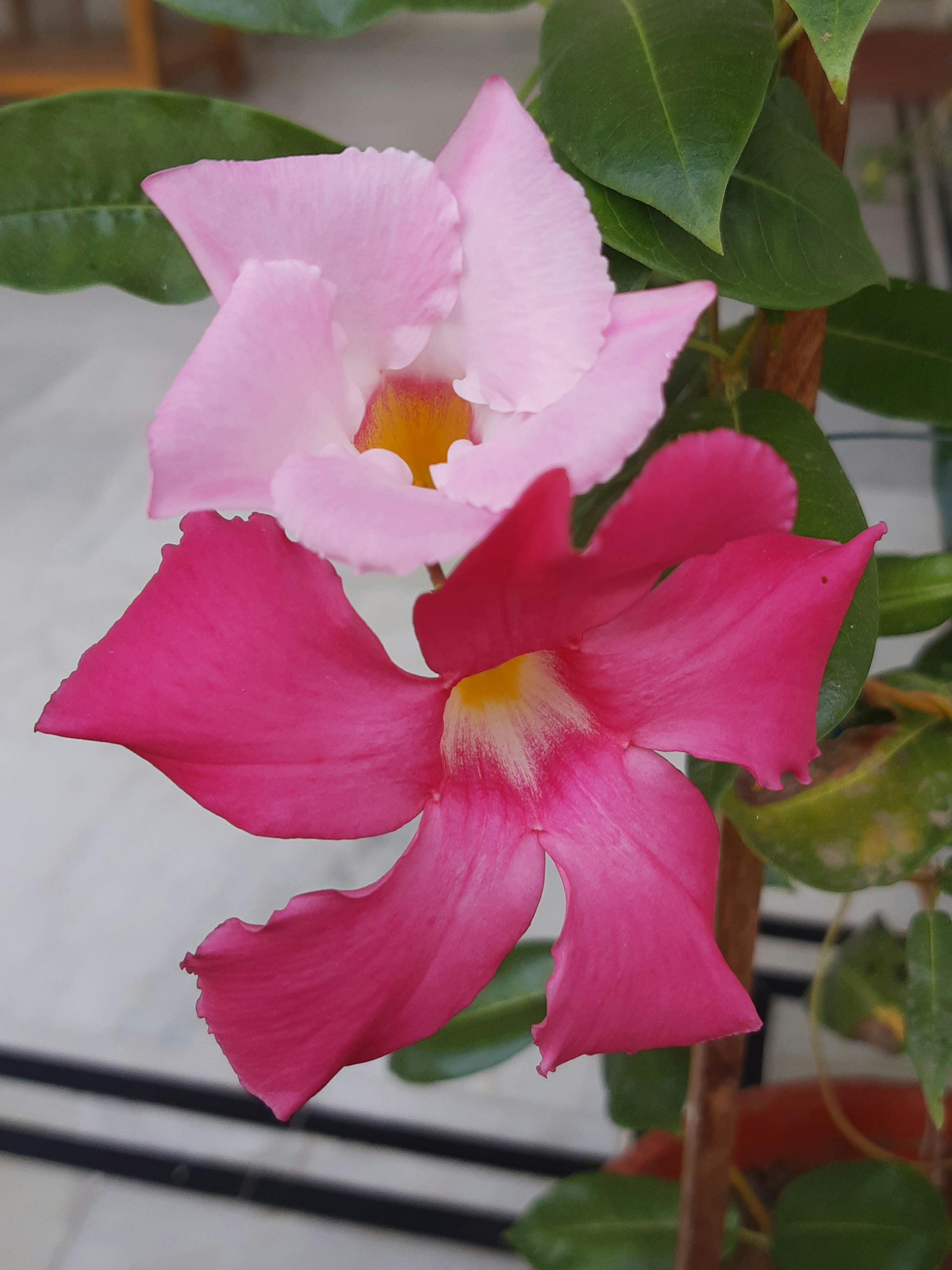 Bhupender Singh Jarial - Photography