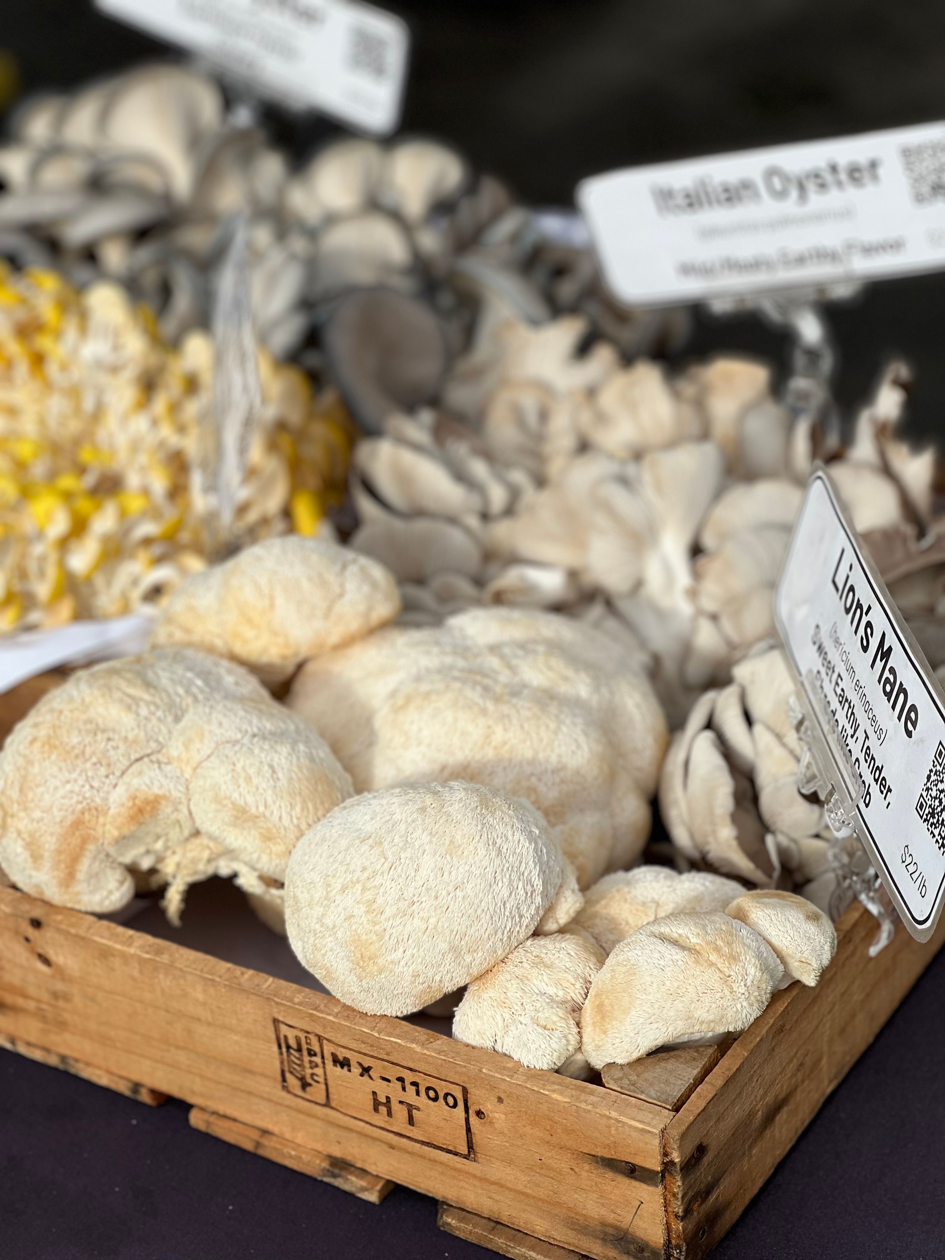 Surtido De Setas Gourmet En Caja De Madera · Foto de stock gratuita