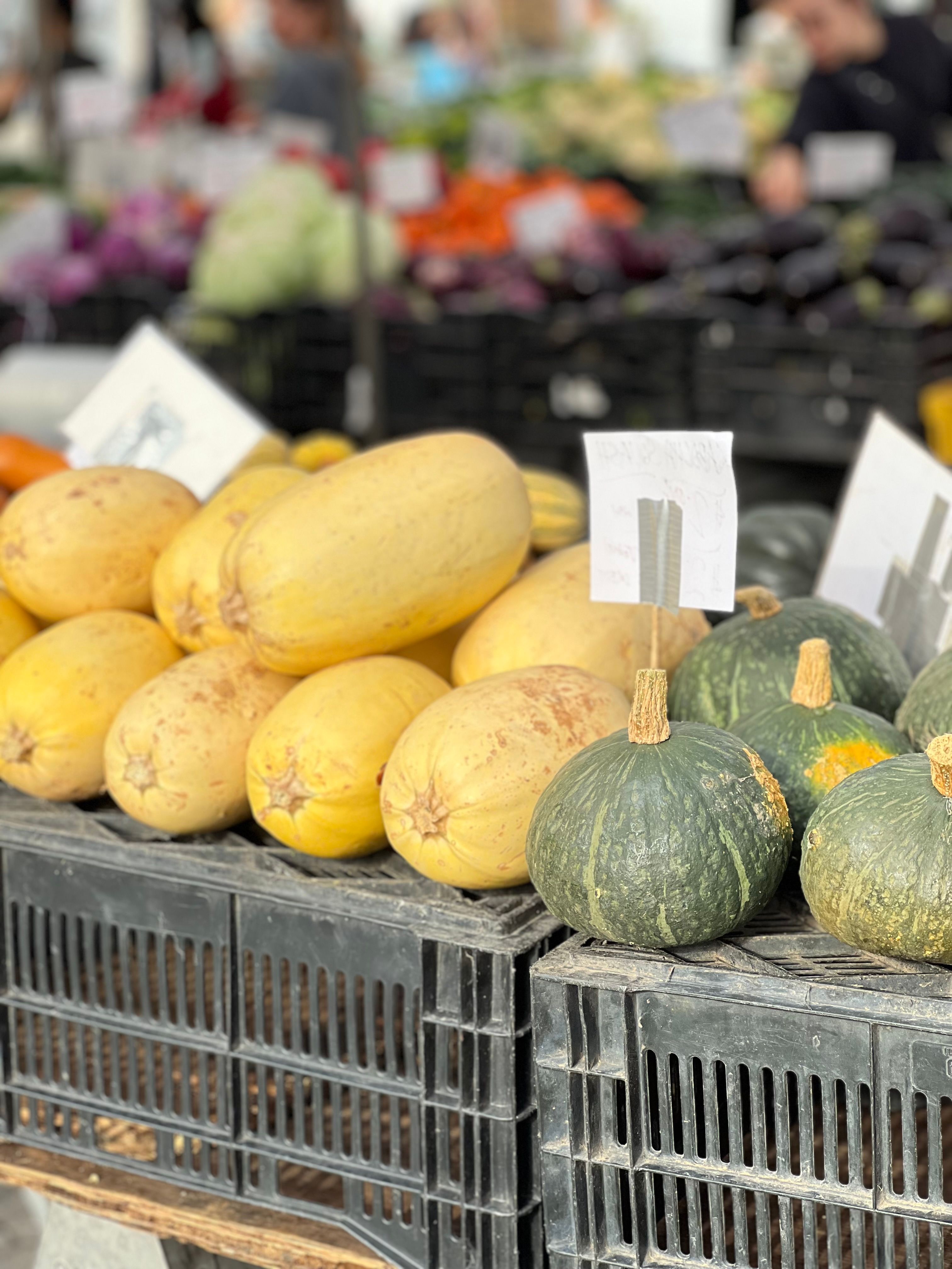 Fresh Produce at Local Farmers Market Display · Free Stock Photo