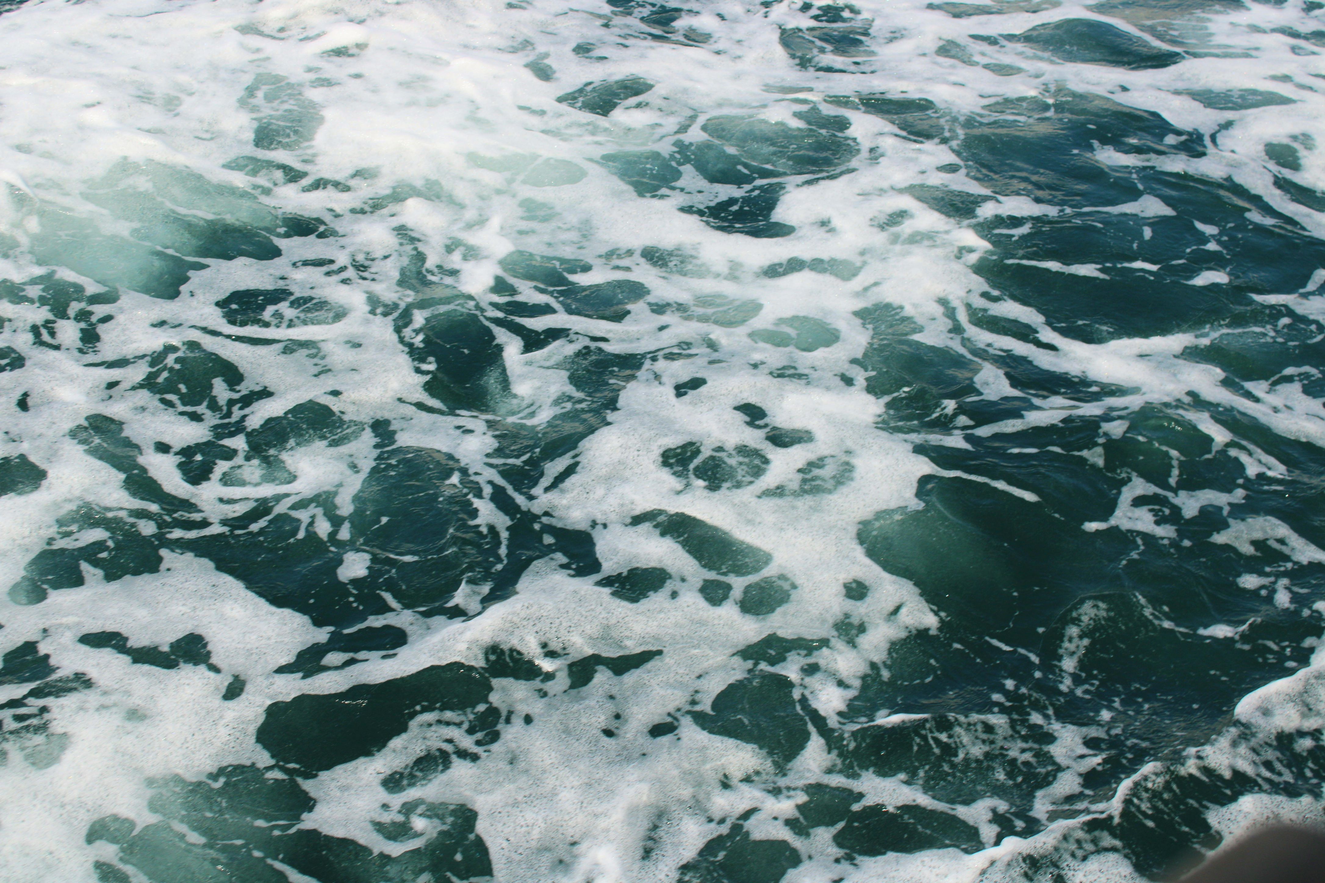 Vibrant Ocean Waves with White Sea Foam · Free Stock Photo