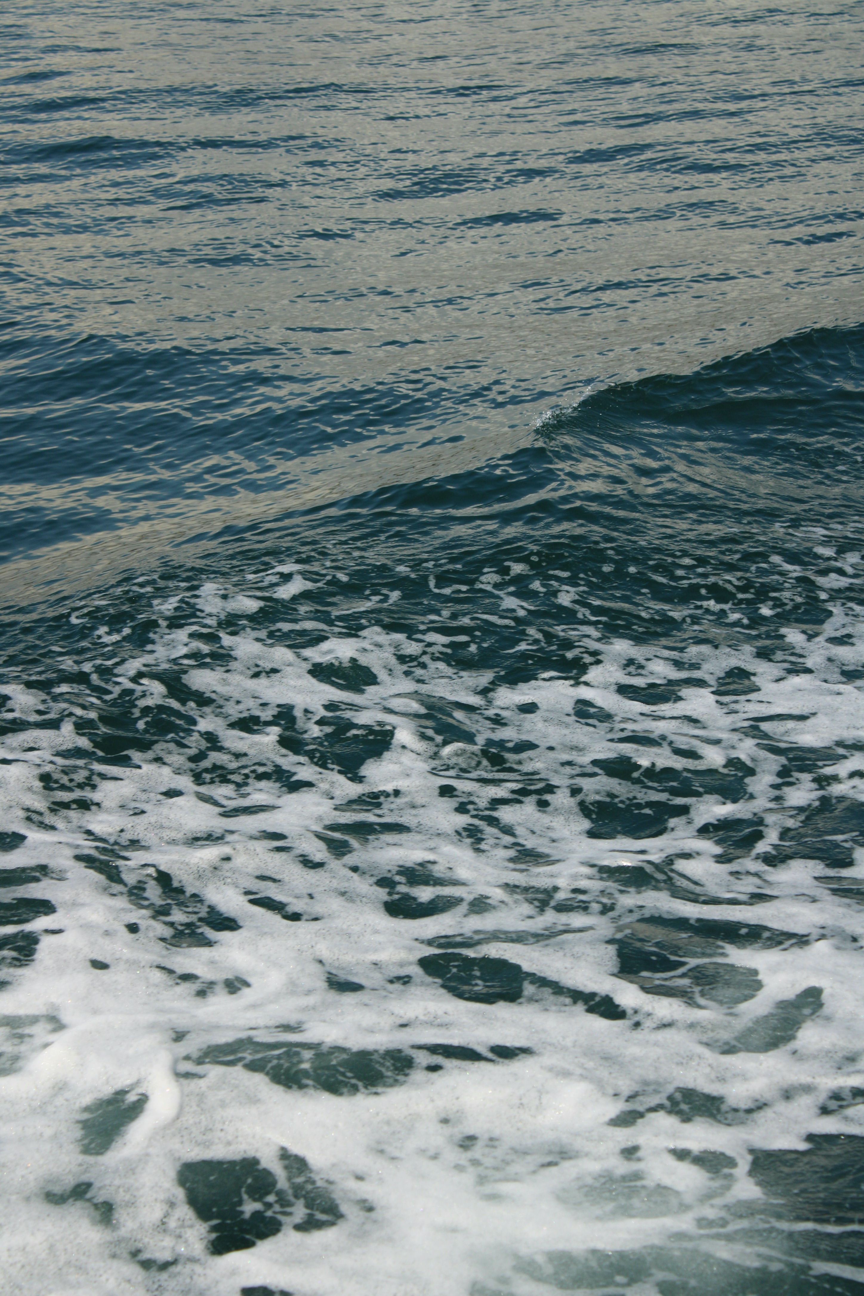 Serene Ocean Wave Patterns on a Calm Day · Free Stock Photo