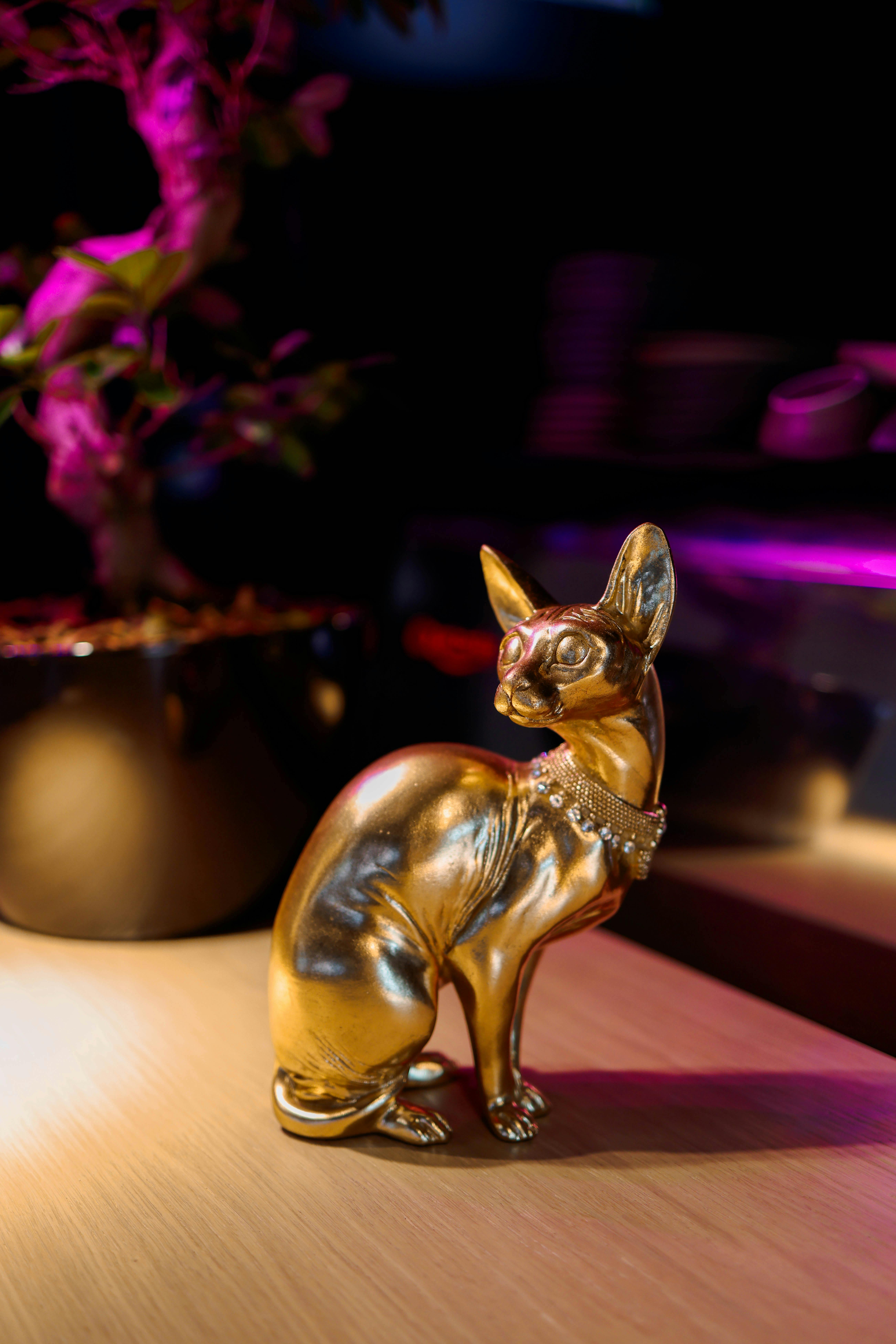 Golden Sphinx Cat Figurine in Elegant Lighting · Free Stock Photo