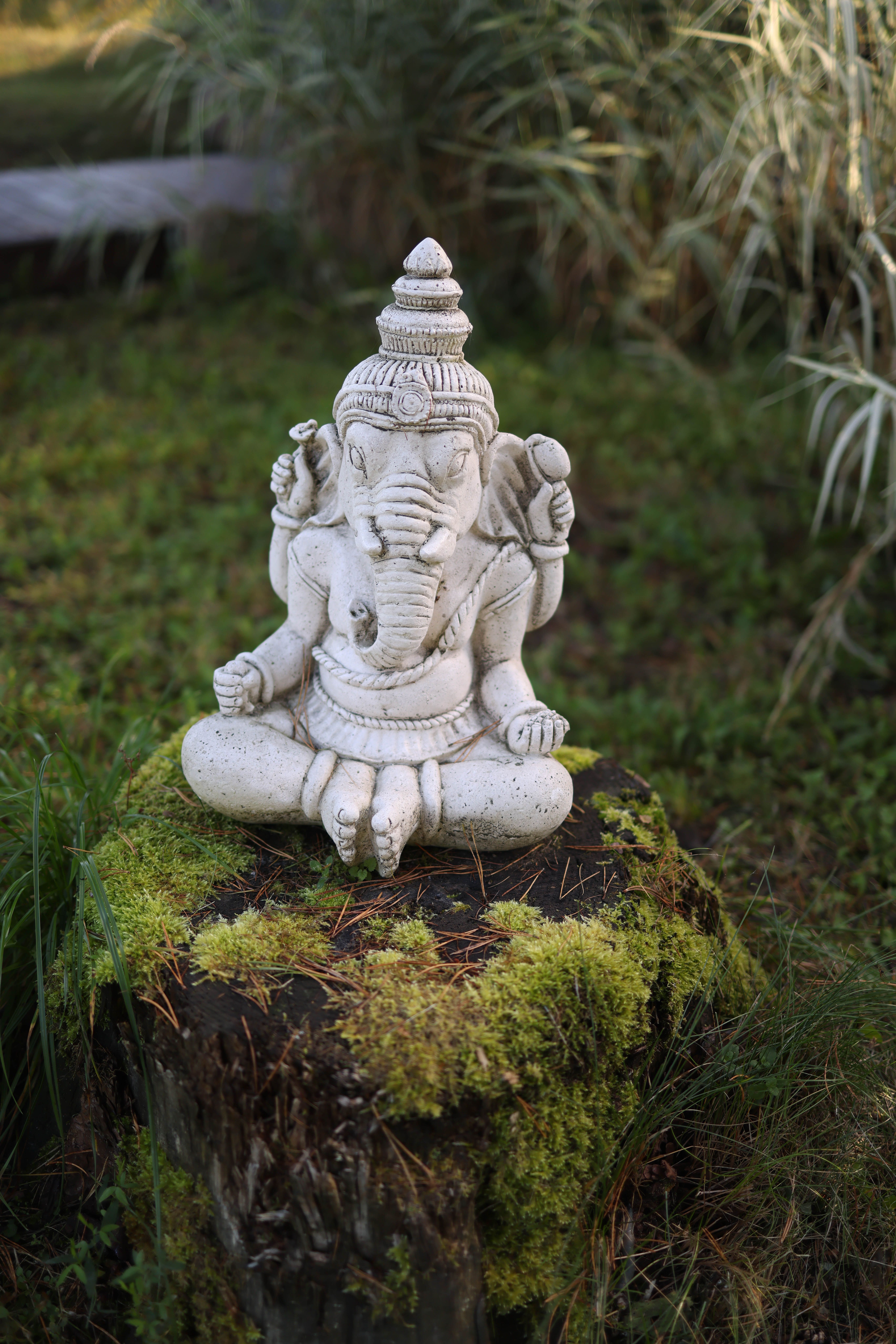 Ganesha In Nature Photos, Download The BEST Free Ganesha In Nature ...