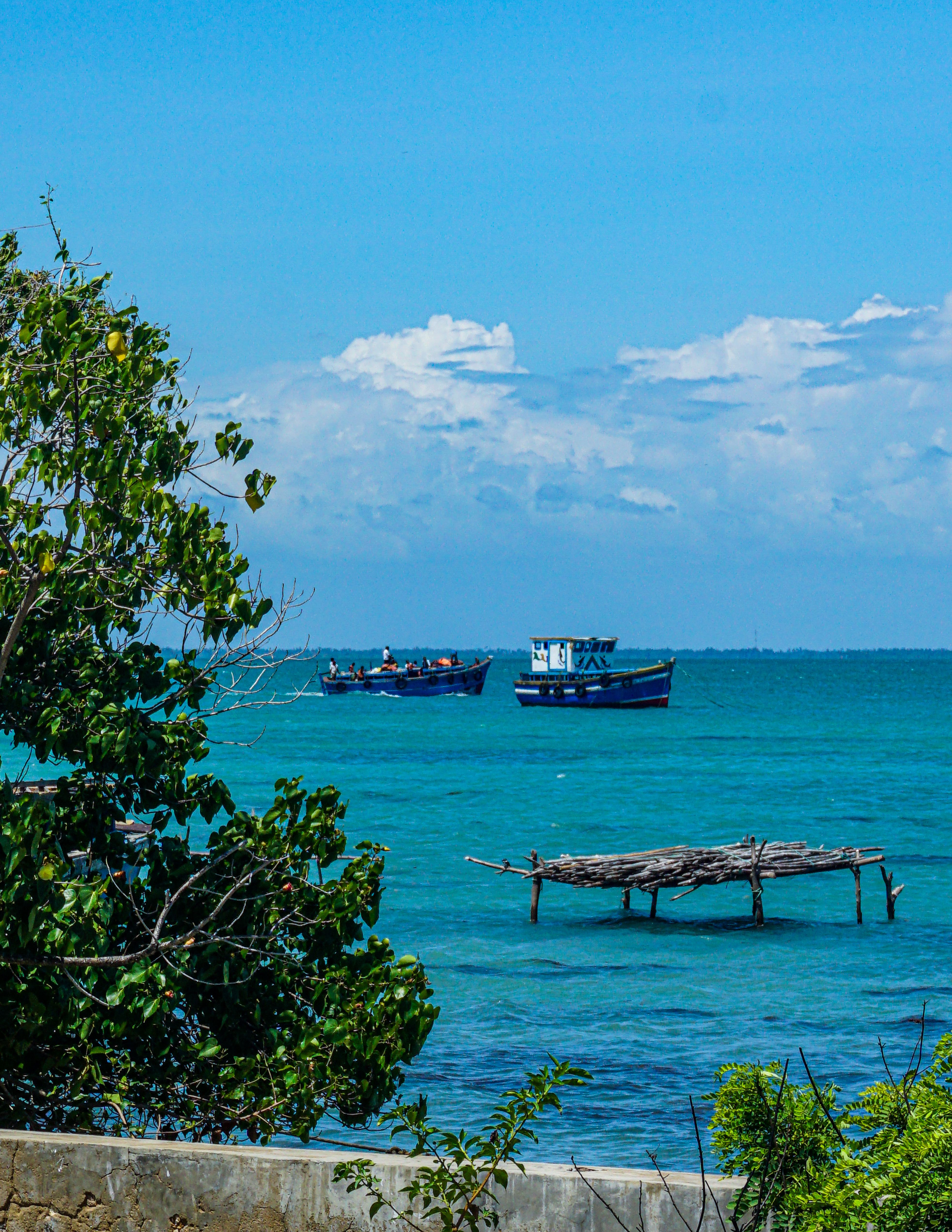 Thevindu Nagasinghe - Photography