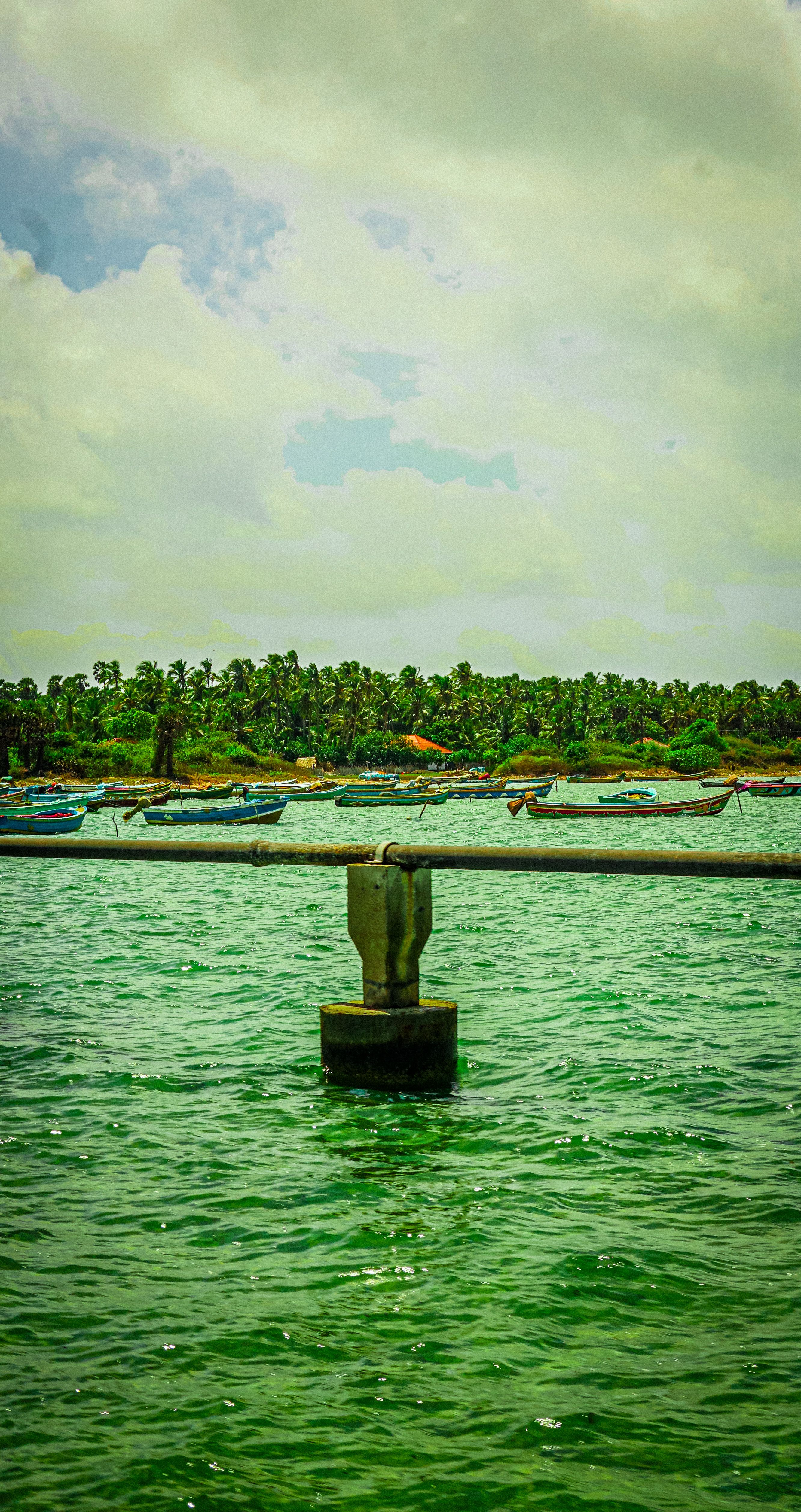 Thevindu Nagasinghe - Fotografía