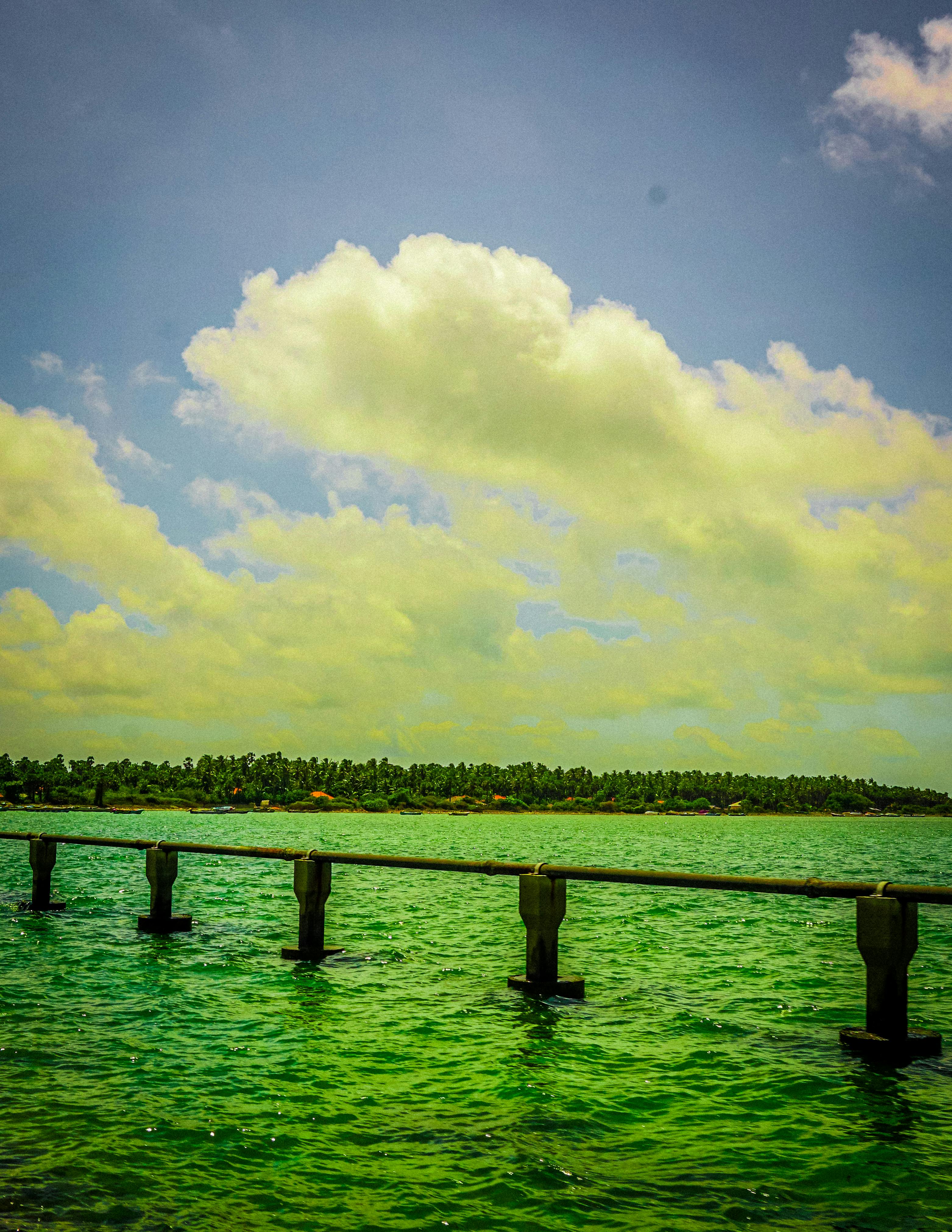 Thevindu Nagasinghe - Fotografía