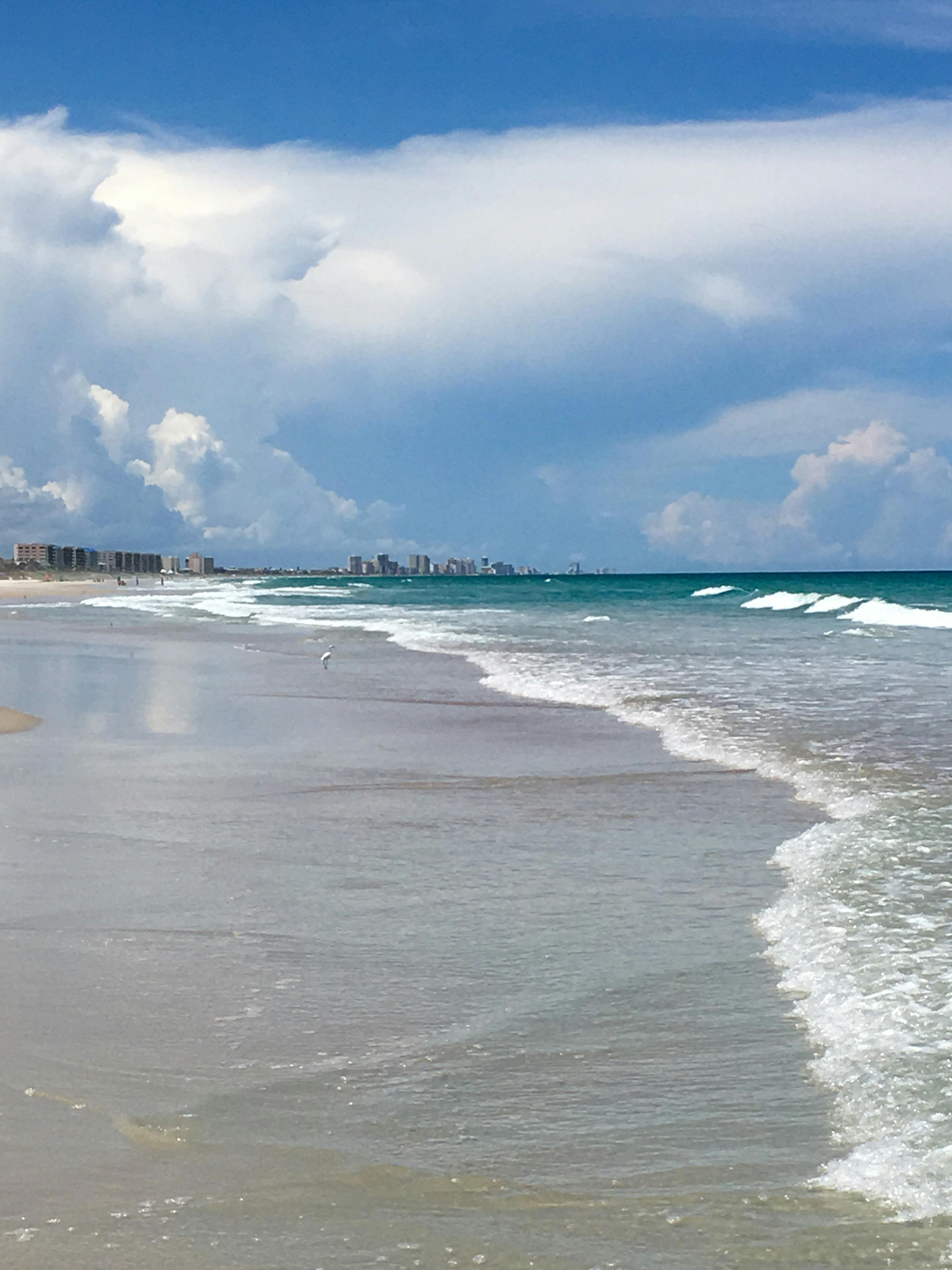 Ponce Inlet Beach 9 Photos & Videos Collected by Ninette June
