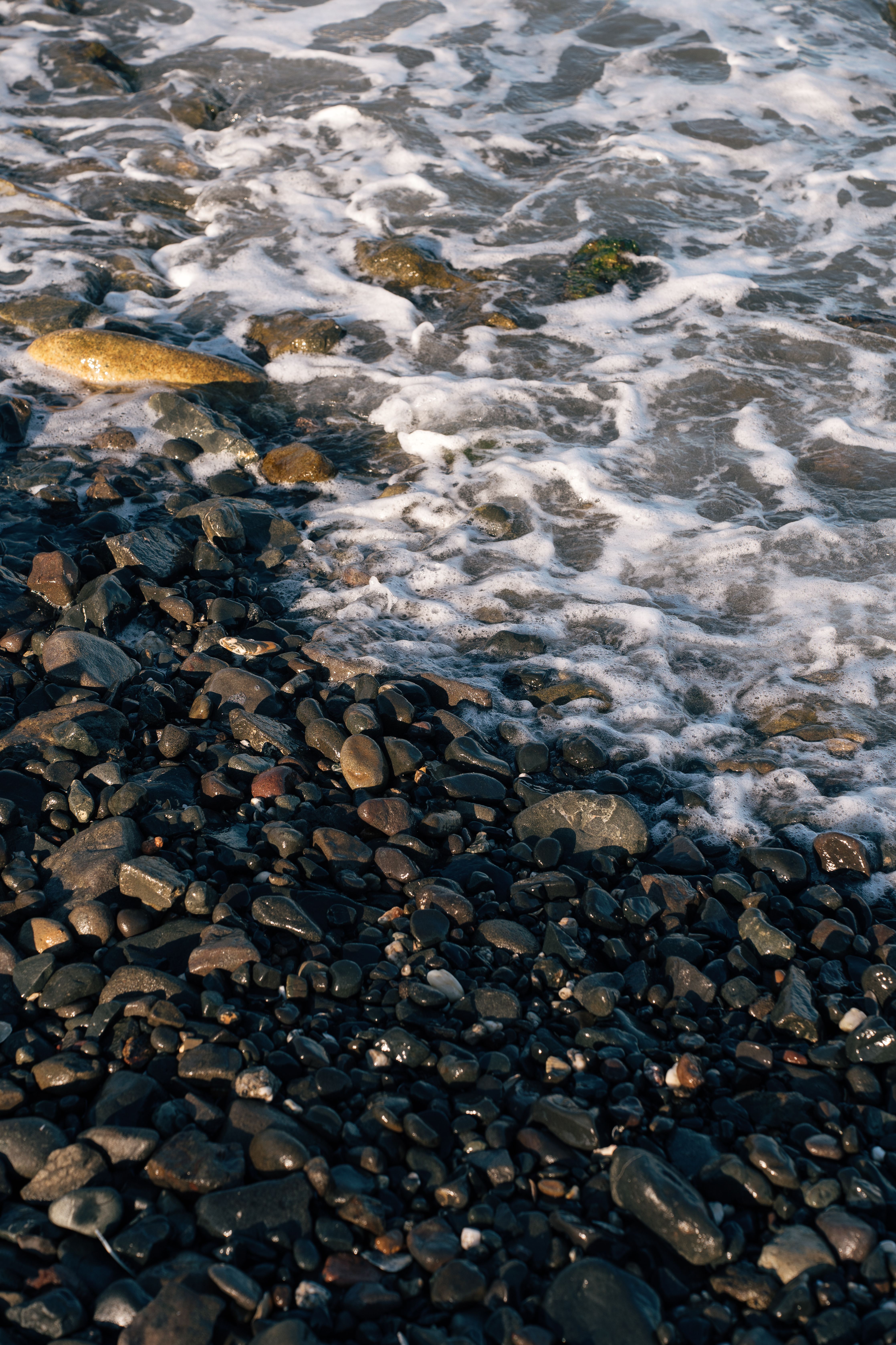 Coastal Pebble Beach with Ocean Waves · Free Stock Photo