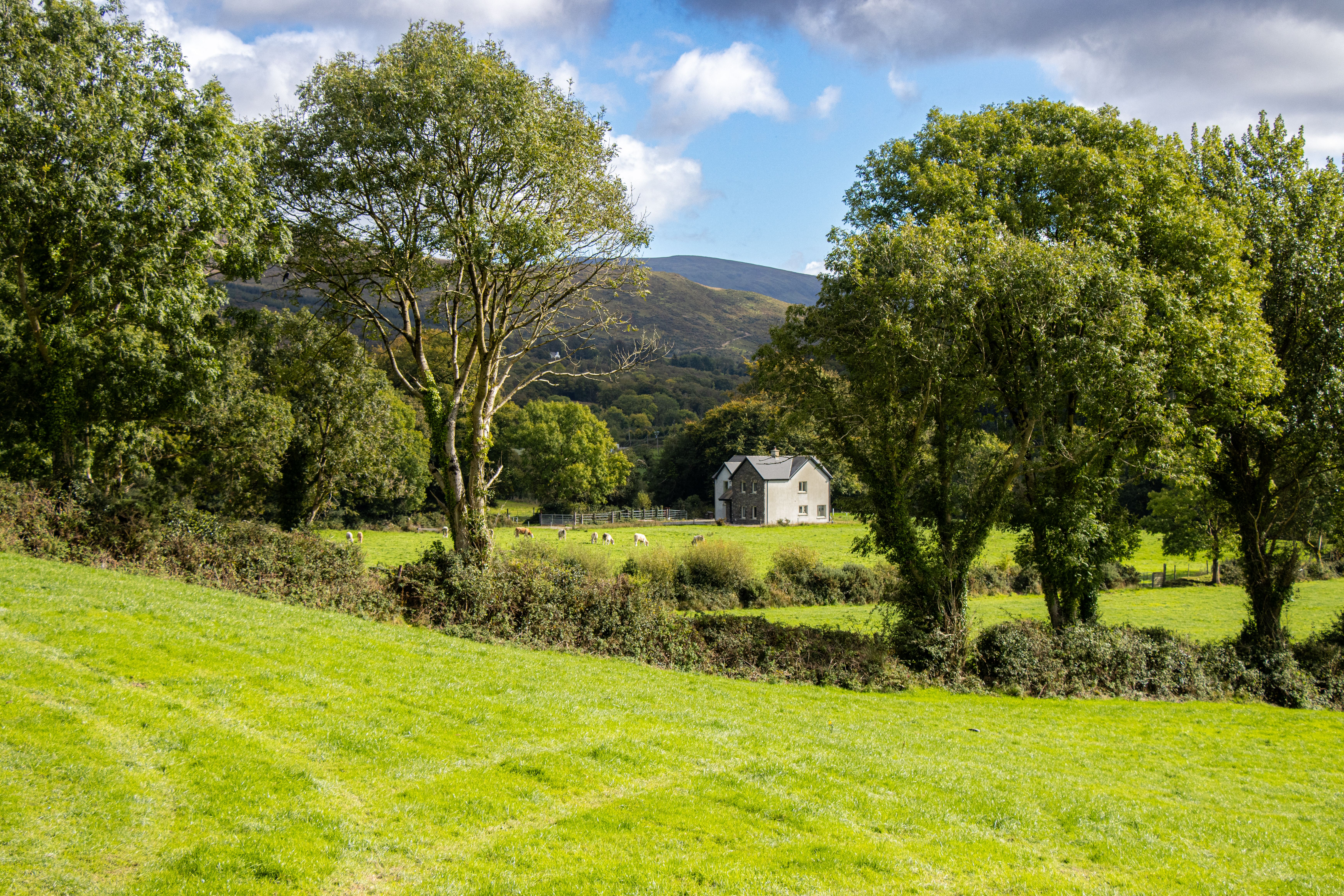 Scenic Countryside Landscape in Kenmare, Ireland · Free Stock Photo