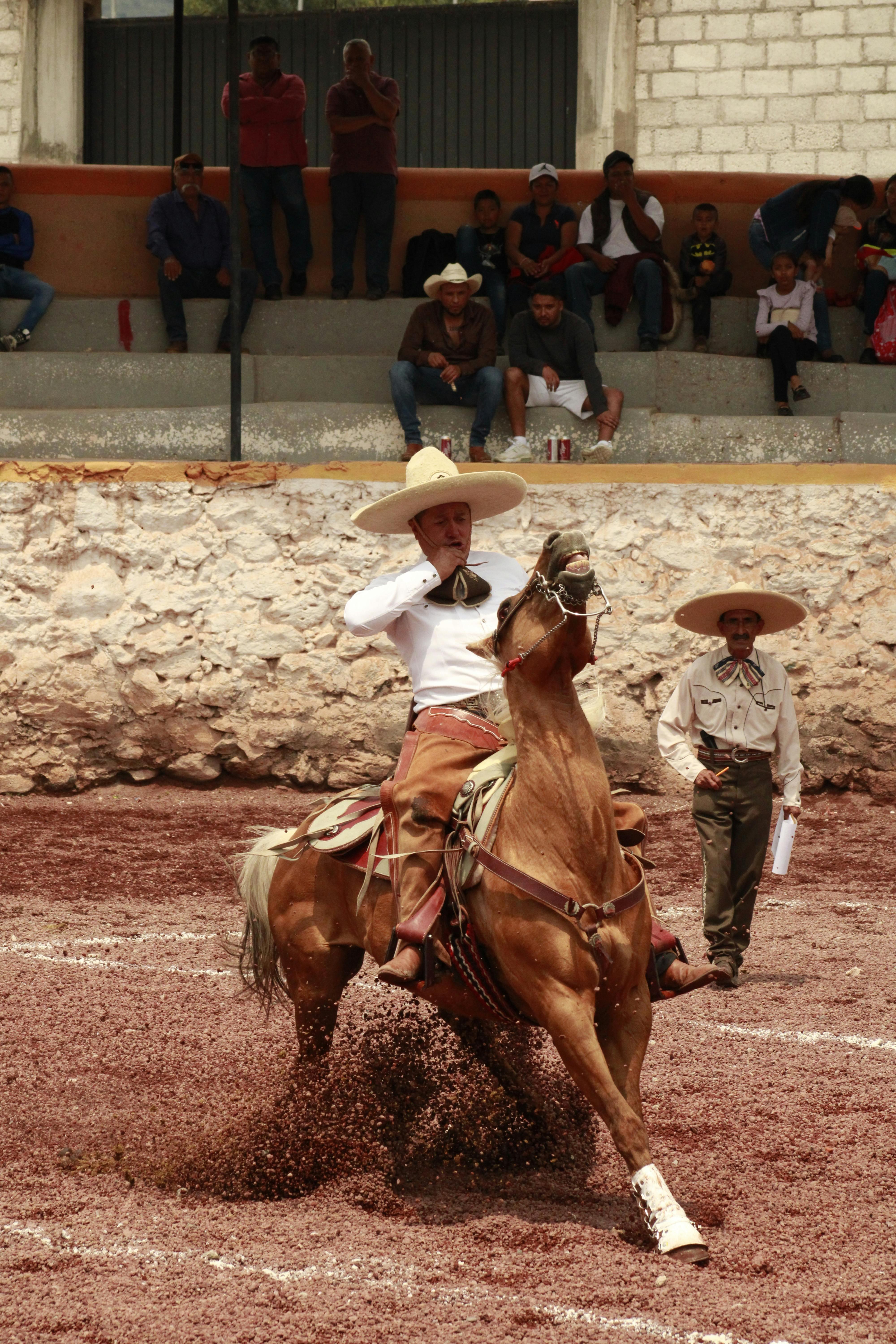 Mexican Charro Performing in a Rodeo Arena · Free Stock Photo