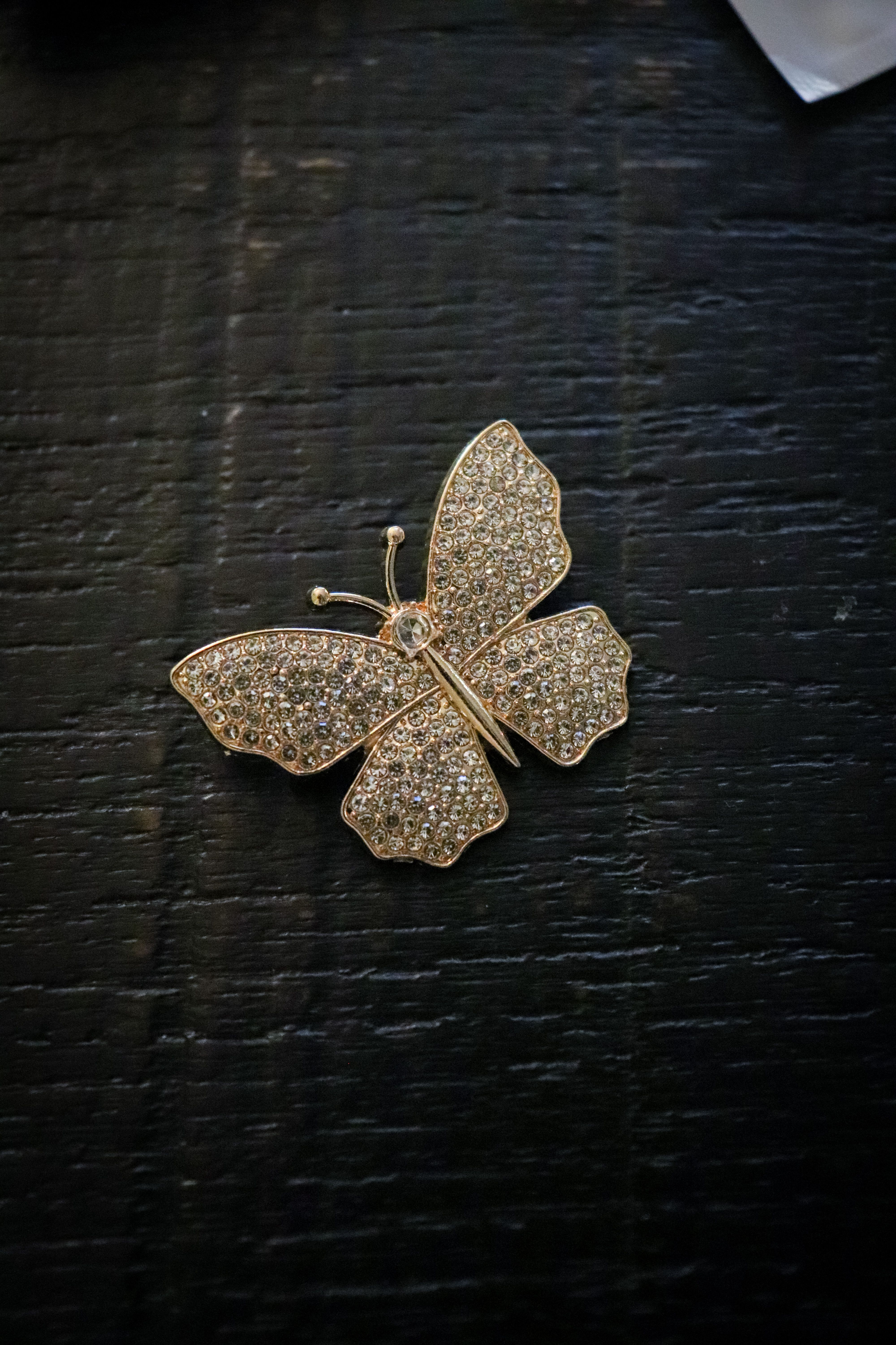 Shining Butterfly Photos, Download The BEST Free Shining Butterfly ...