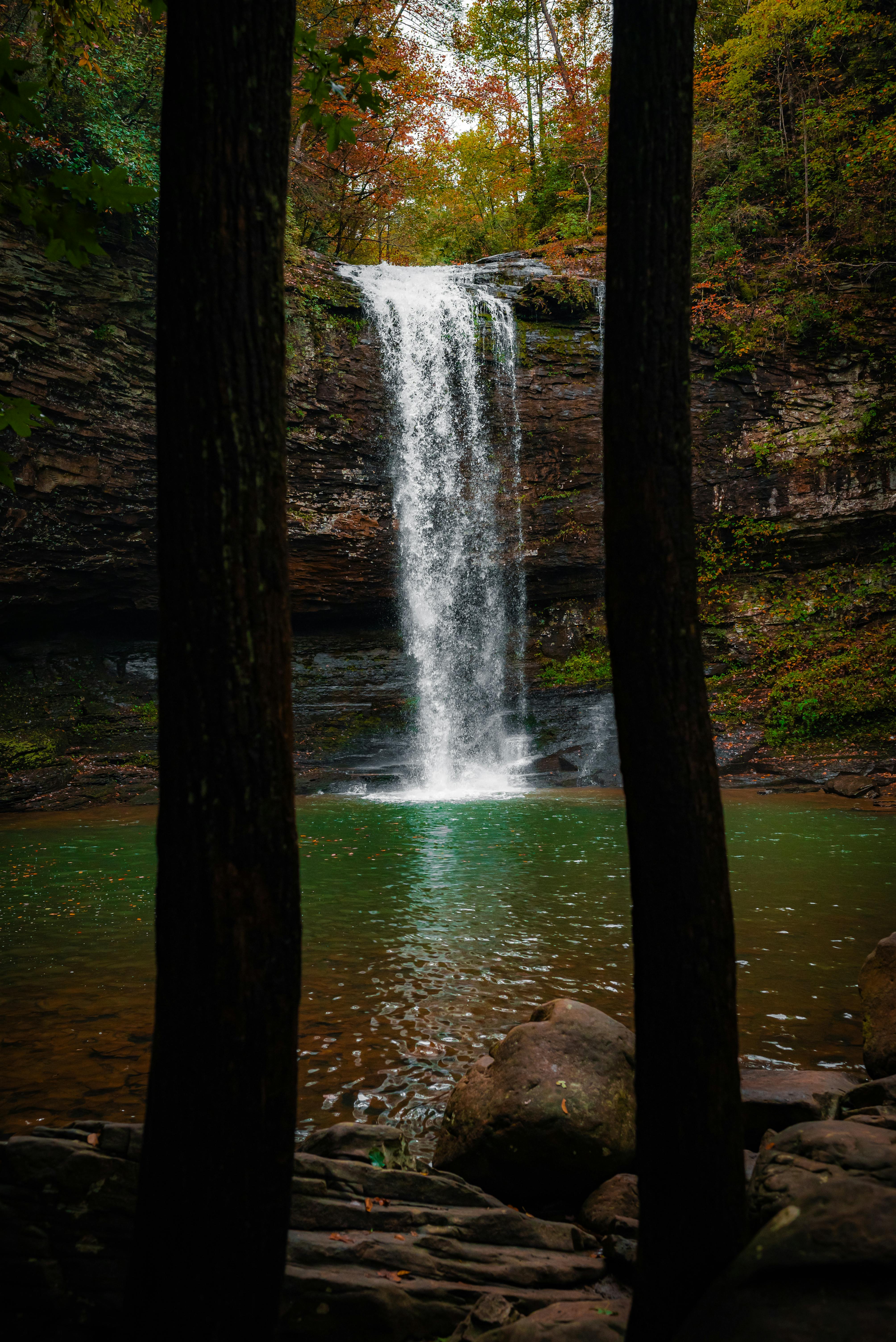 Scenic Waterfall in Forest Setting · Free Stock Photo
