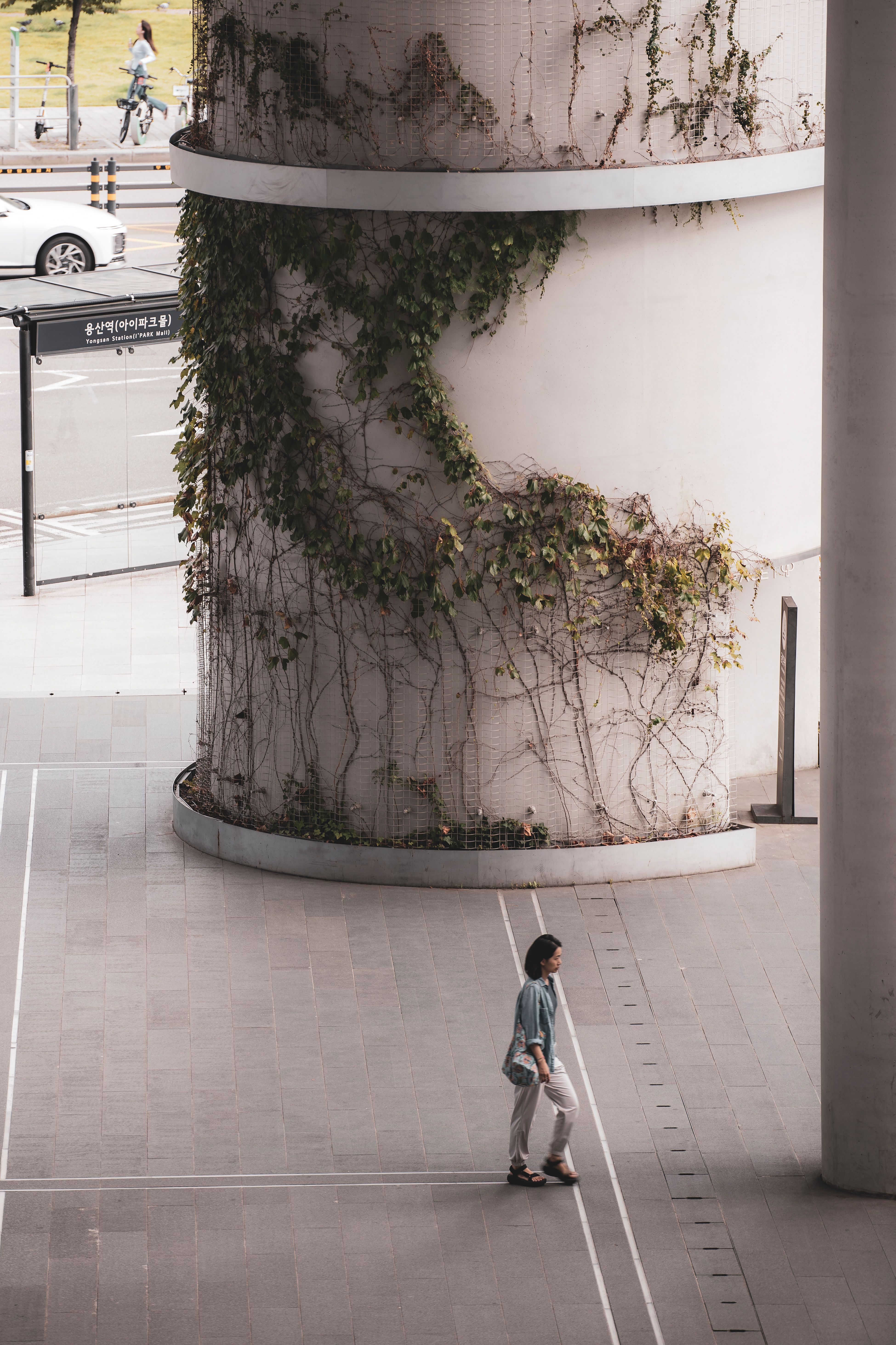 Urban Scene with Ivy-Covered Column and Pedestrian · Free Stock Photo