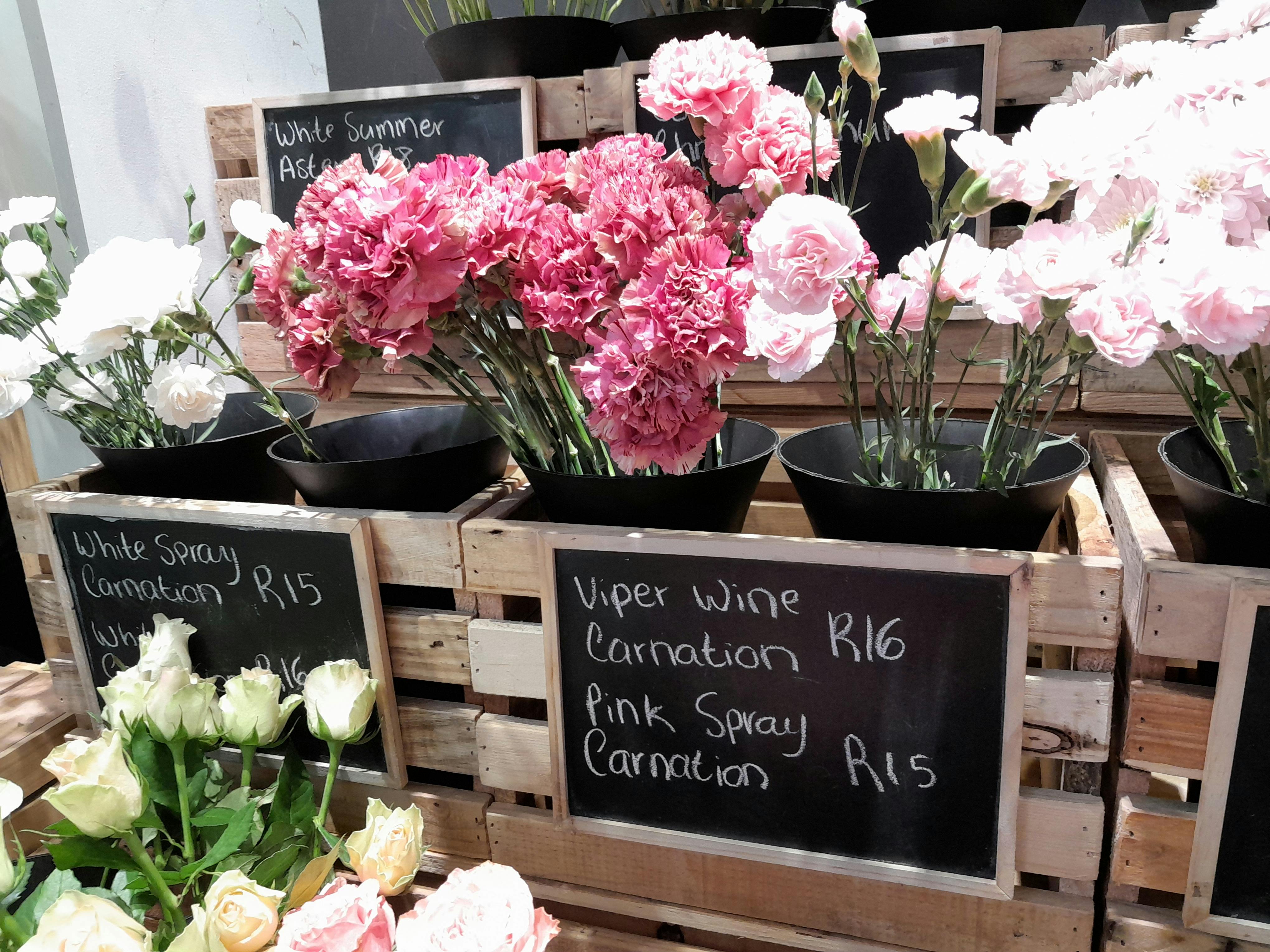 Vibrant Display of Pink and White Carnations at Market · Free Stock Photo