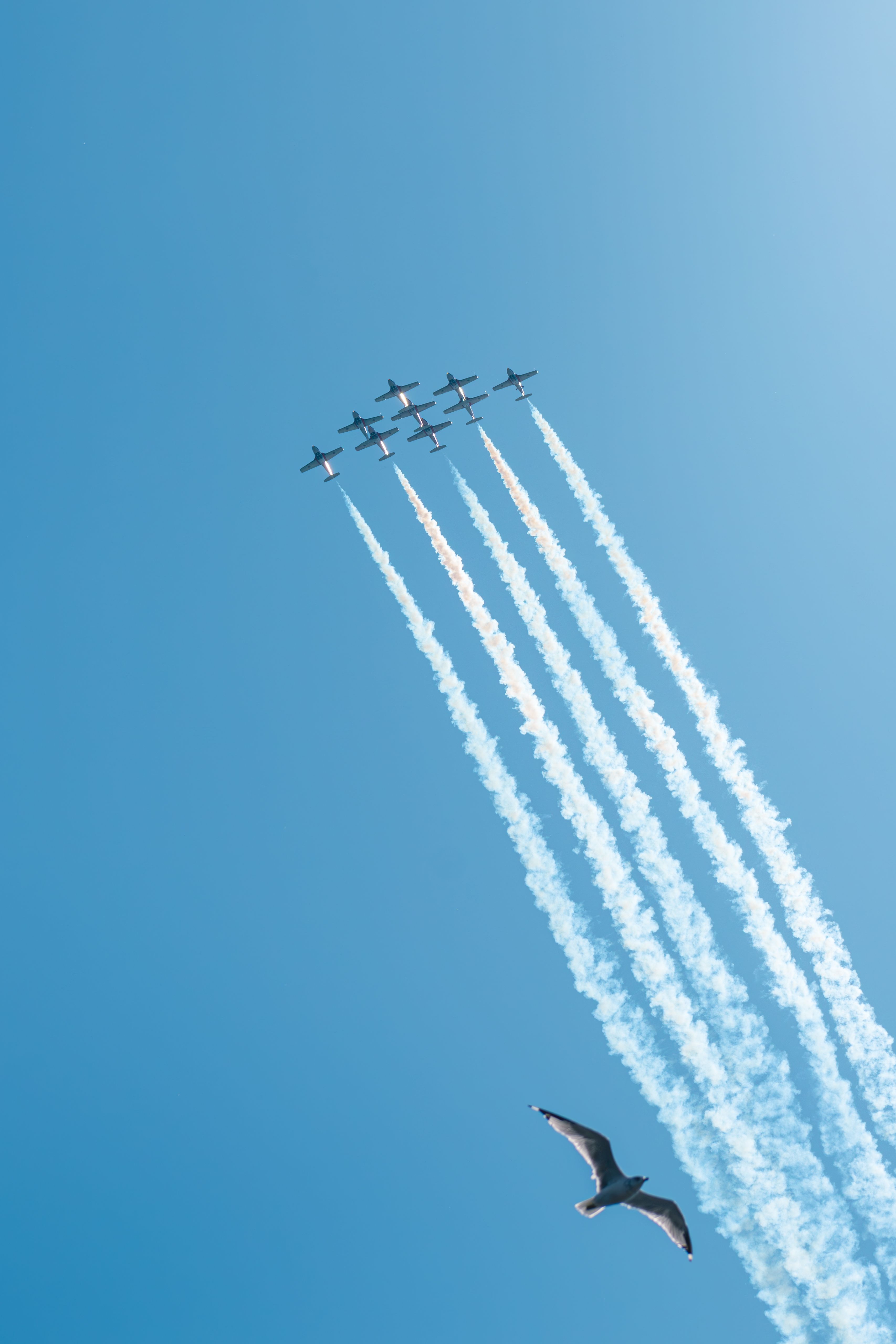 Aerial Display of Jet Planes Over Toronto · Free Stock Photo