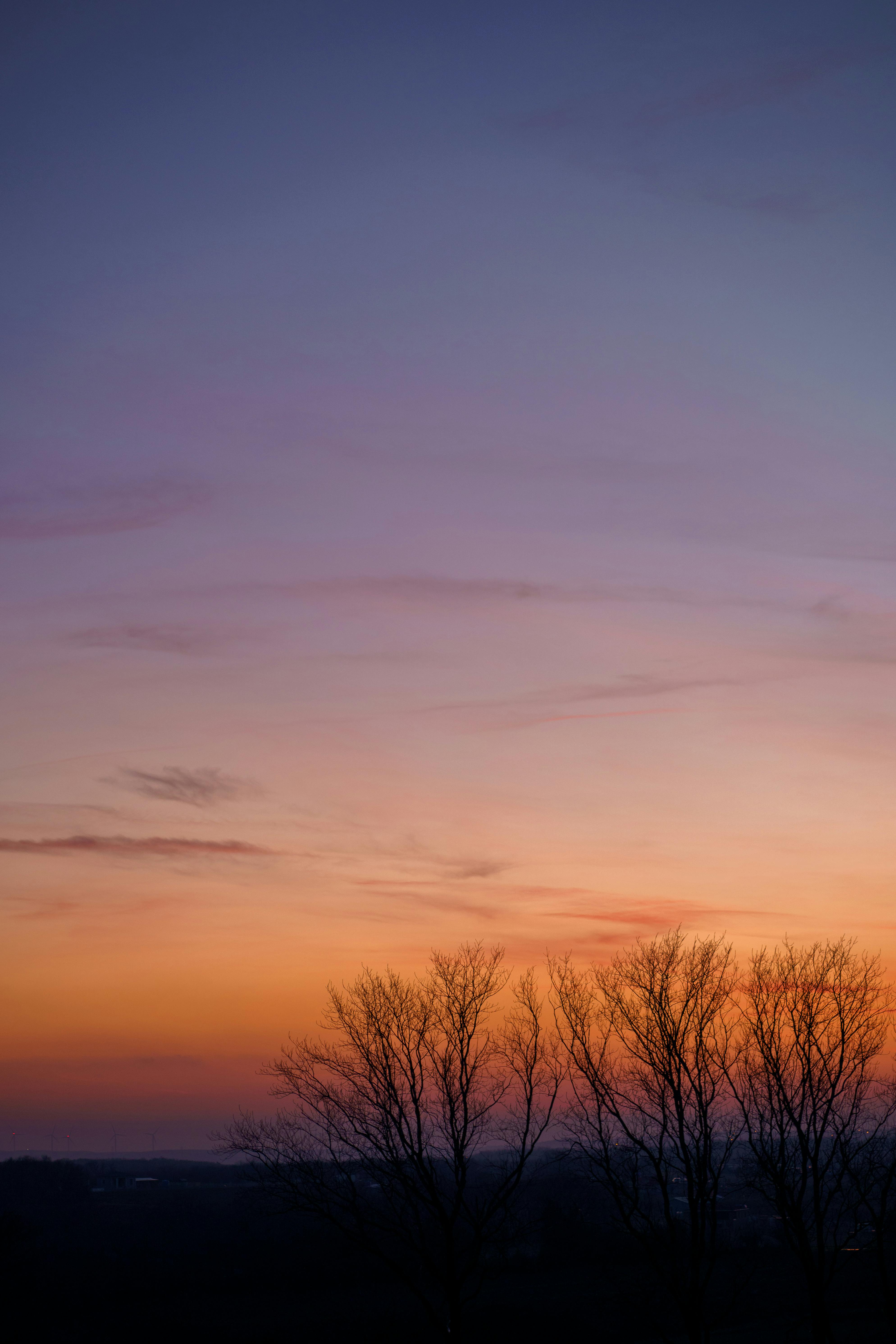 1+ Million Royalty Free Images · Pexels