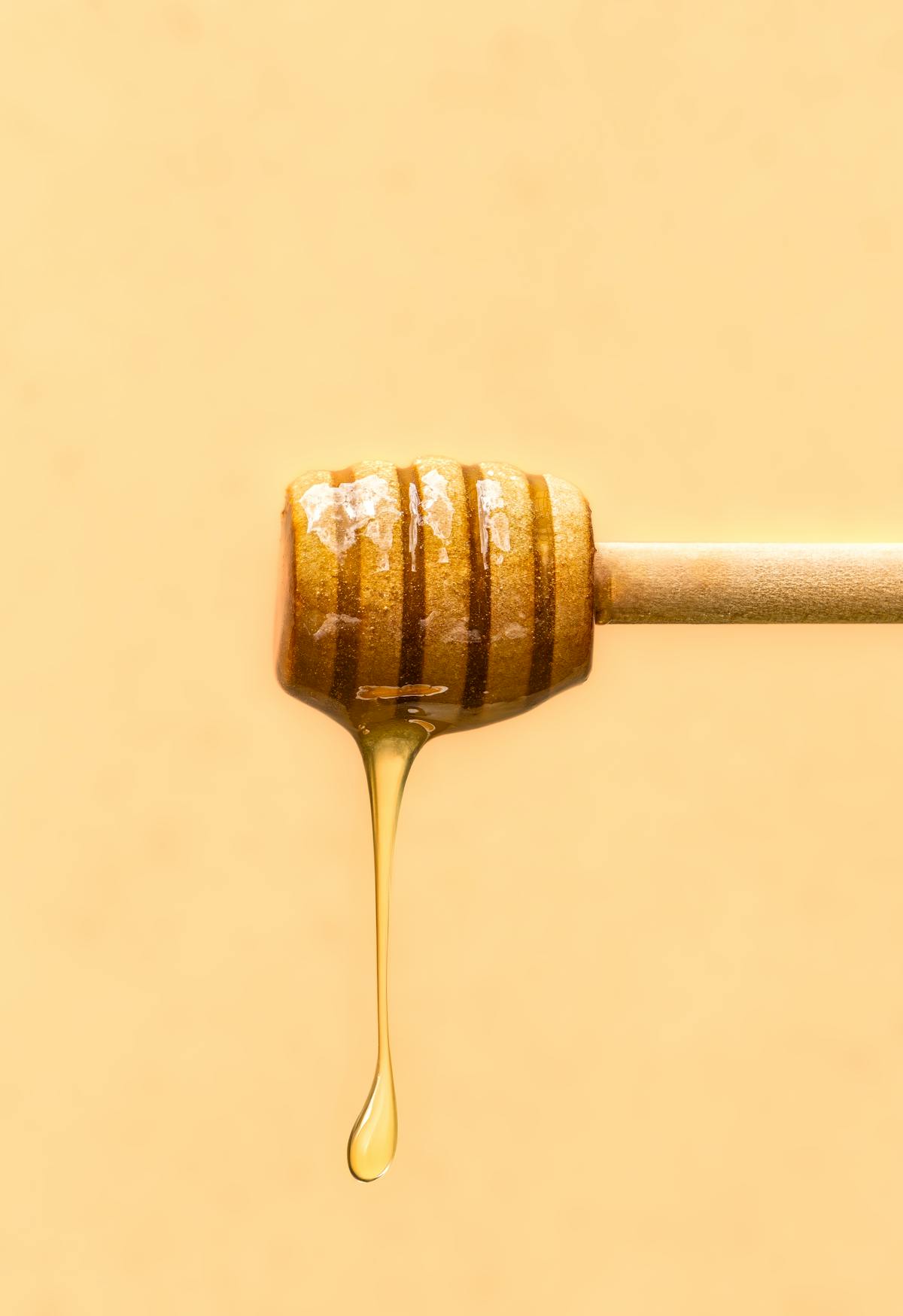 Honey Sip Photos, Download The BEST Free Honey Sip Stock Photos & HD Images