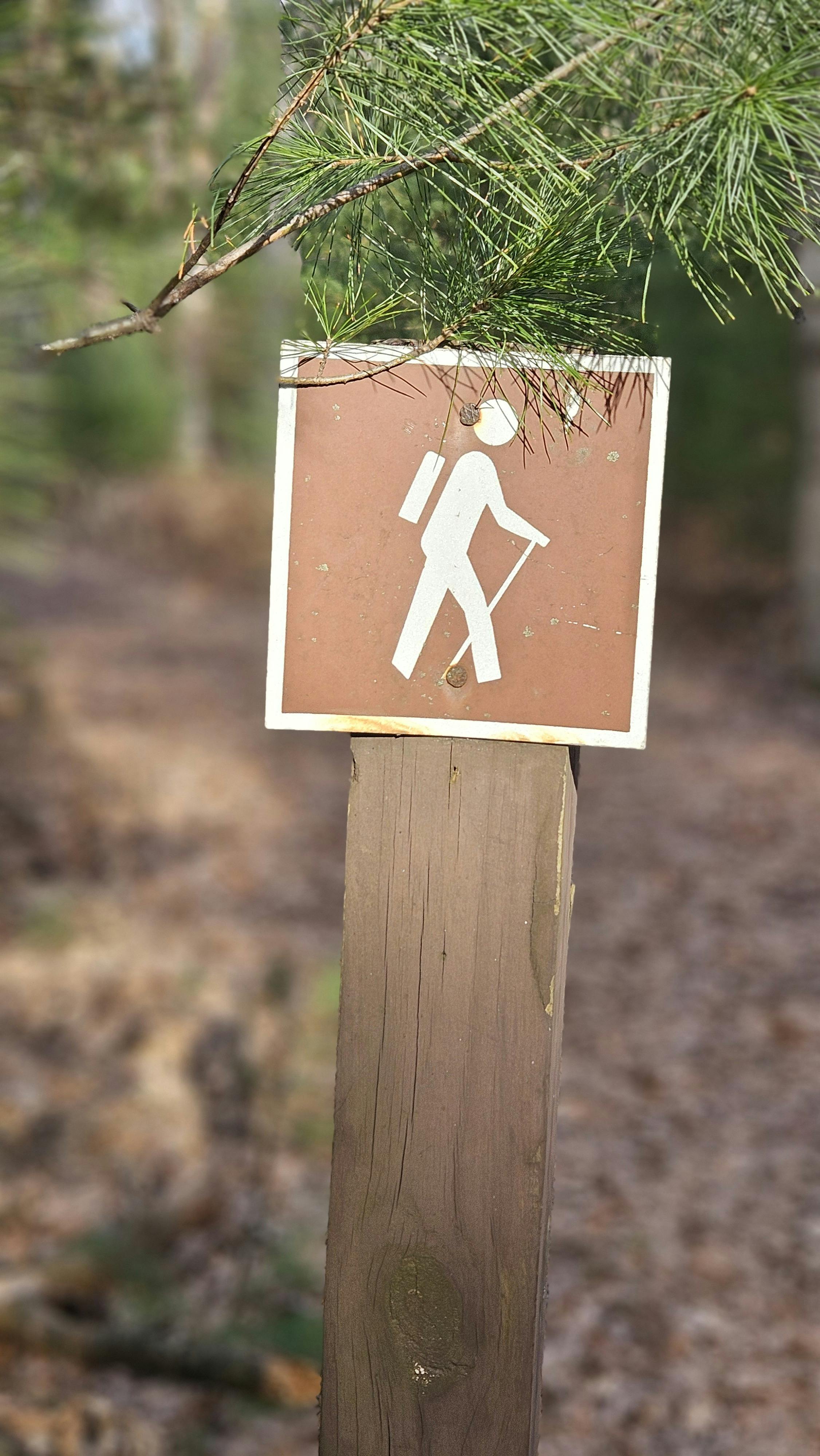 Trail Hiking Sign in Forest Setting · Free Stock Photo