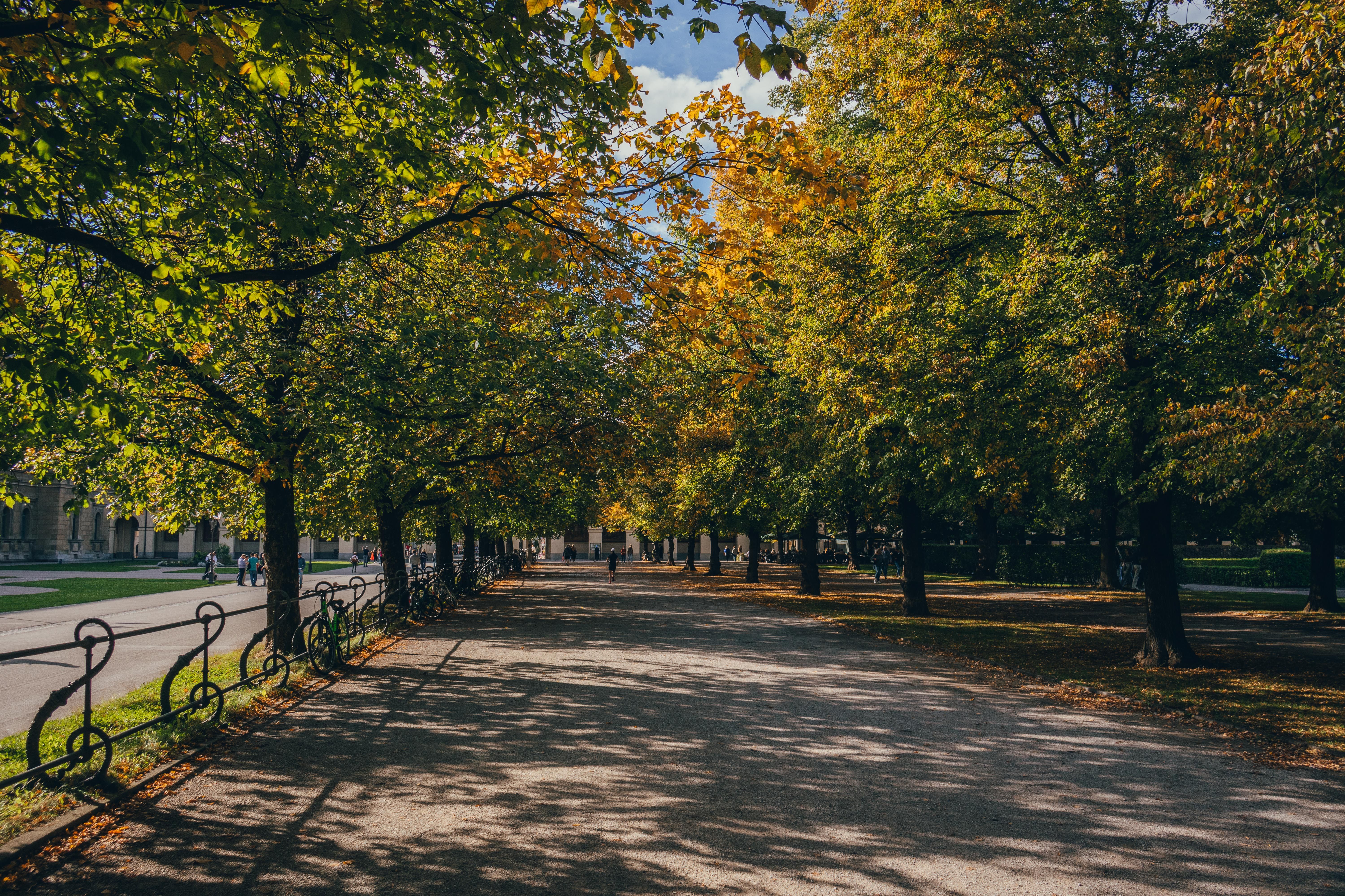 Scenic Autumn Pathway in Urban Park Setting · Free Stock Photo