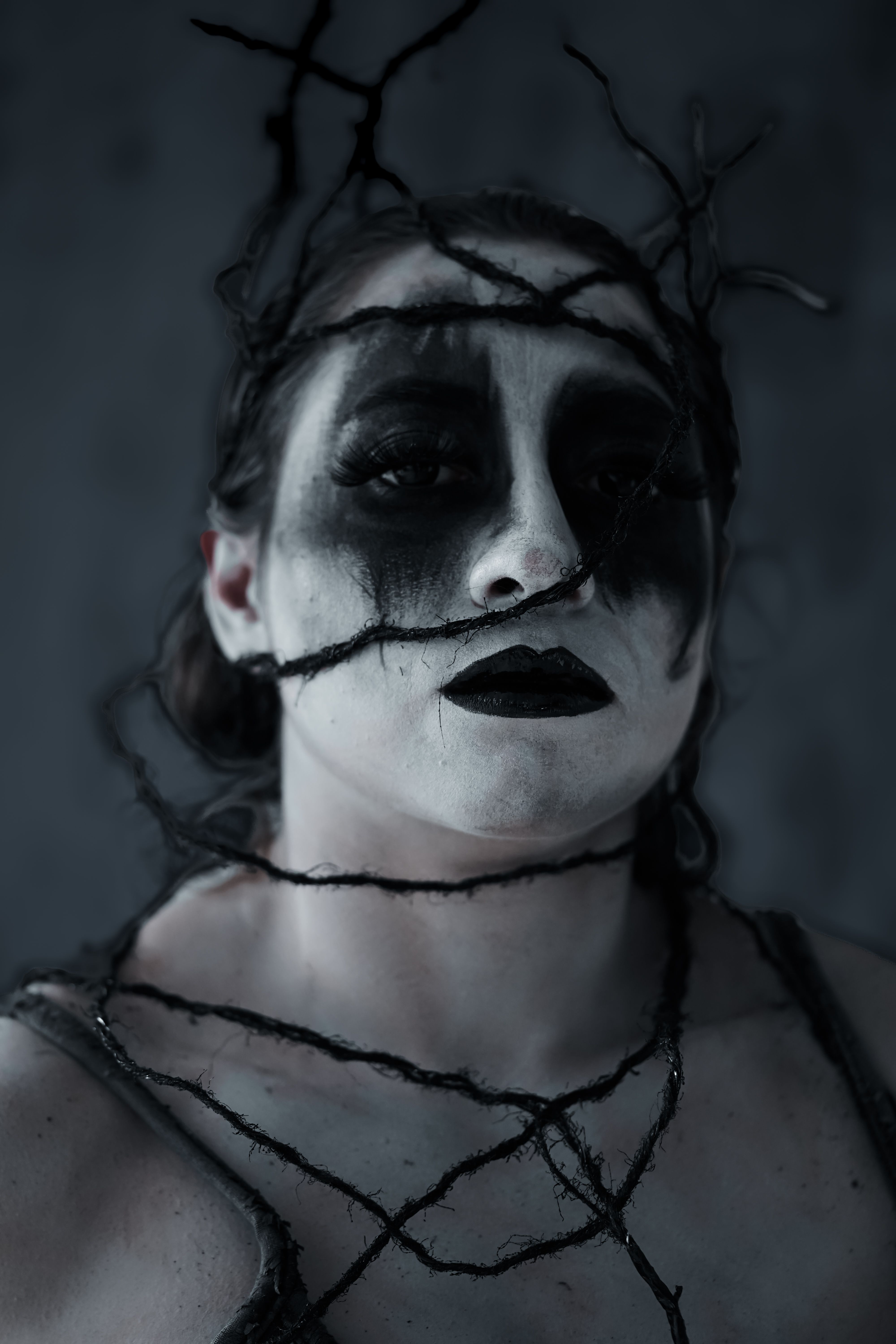 Dramatic Portrait of Person with Artistic Makeup and Twigs · Free Stock ...