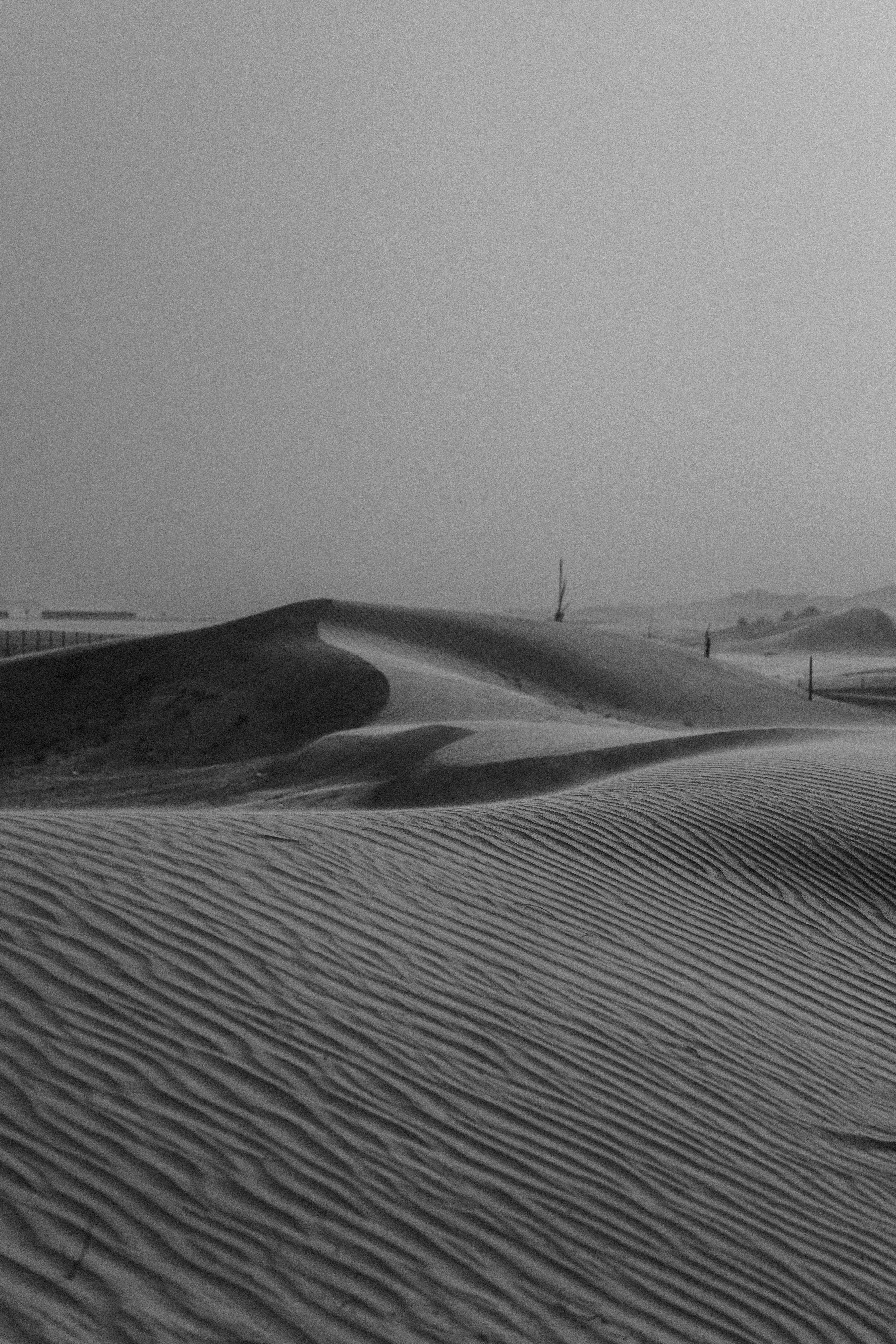 Monochrome Desert Dunes in Al Ain · Free Stock Photo