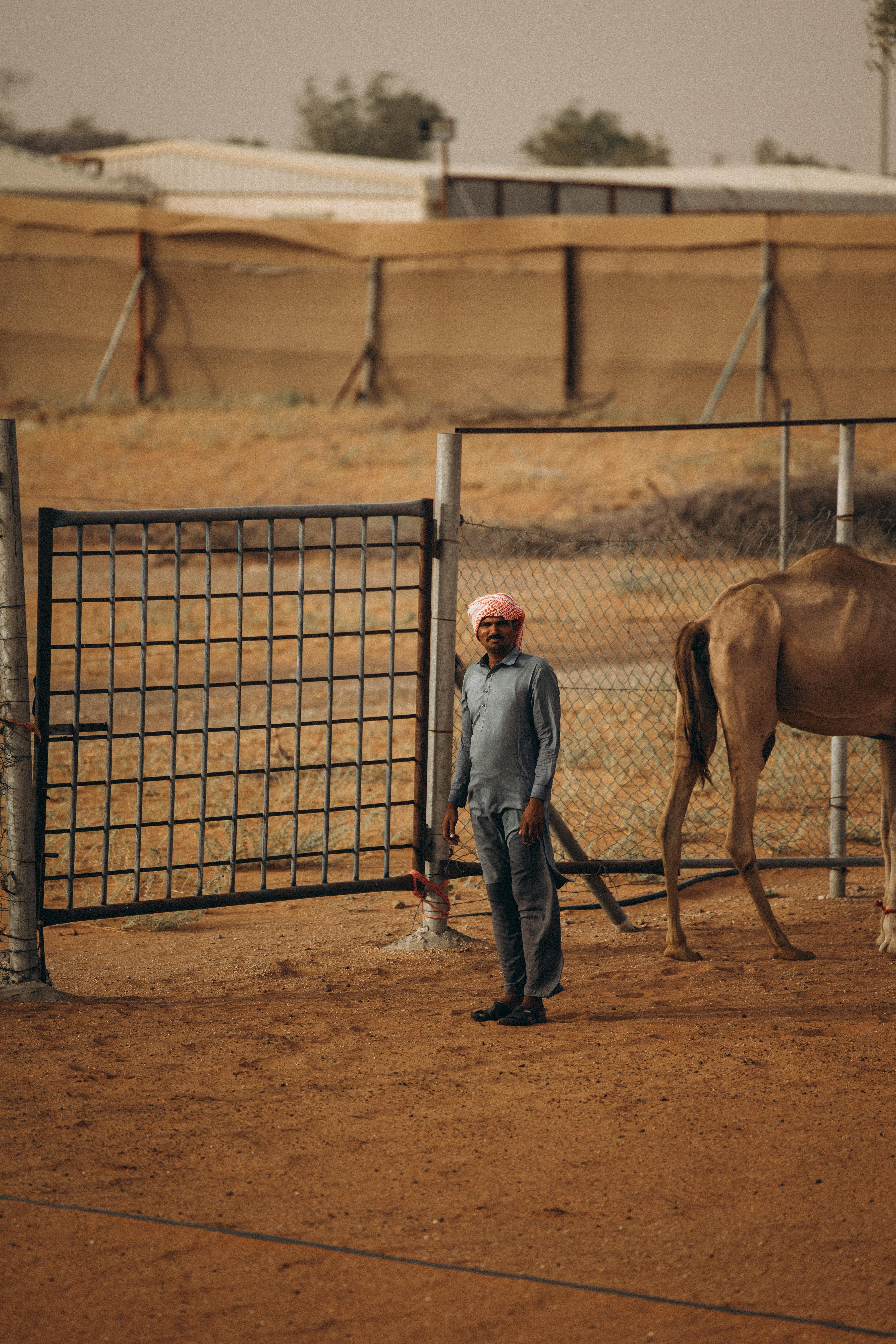 Camel Herder in Al Ain Desert Farm · Free Stock Photo