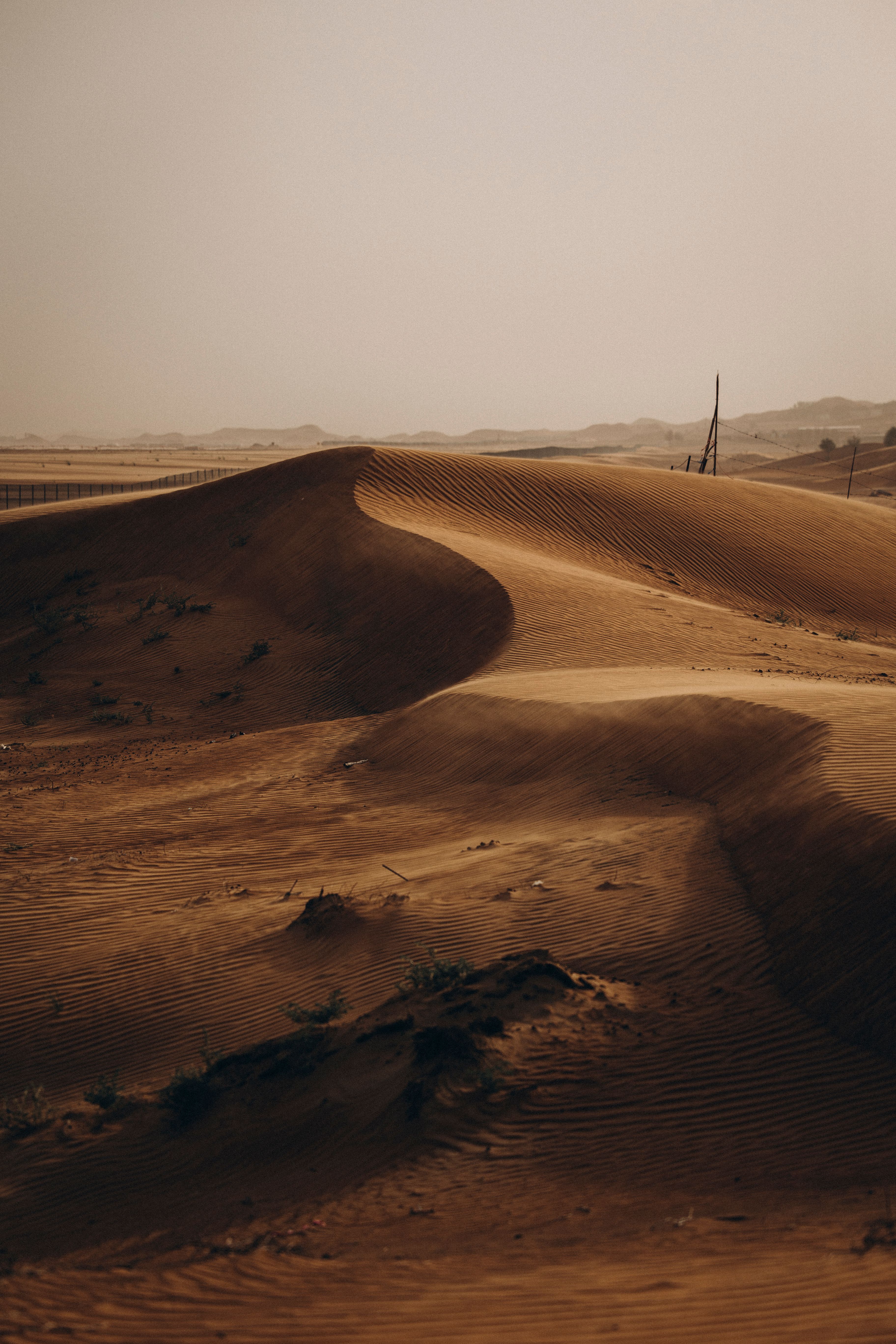 Golden Sand Dunes of Al Ain, UAE at Sunset · Free Stock Photo