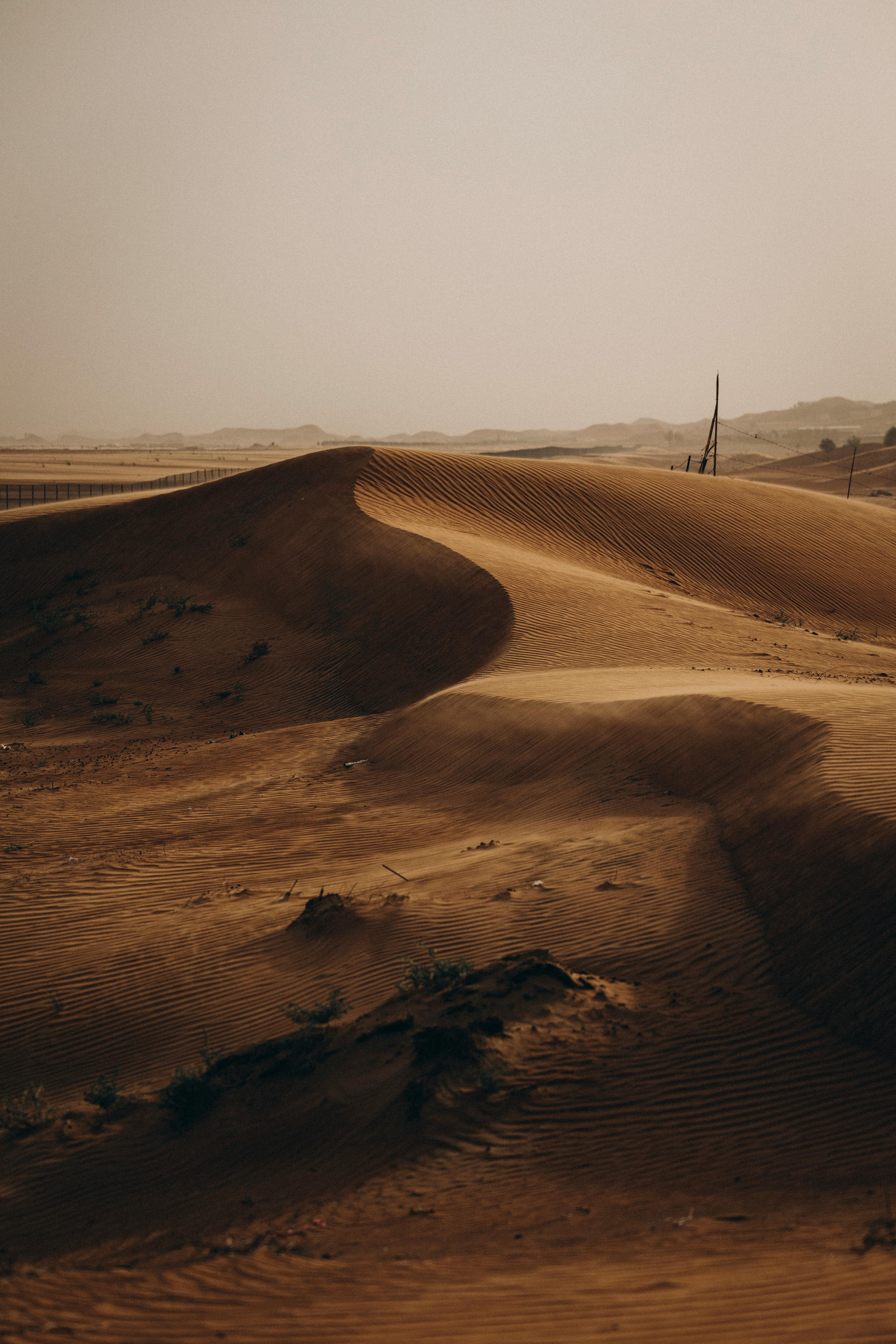 Golden Sand Dunes of Al Ain, UAE at Sunset · Free Stock Photo
