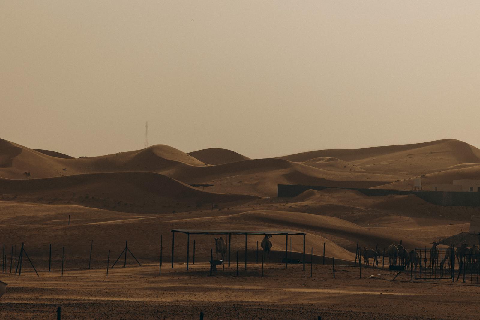 Beautiful Camel Toe Photos, Download The BEST Free Beautiful Camel Toe ...