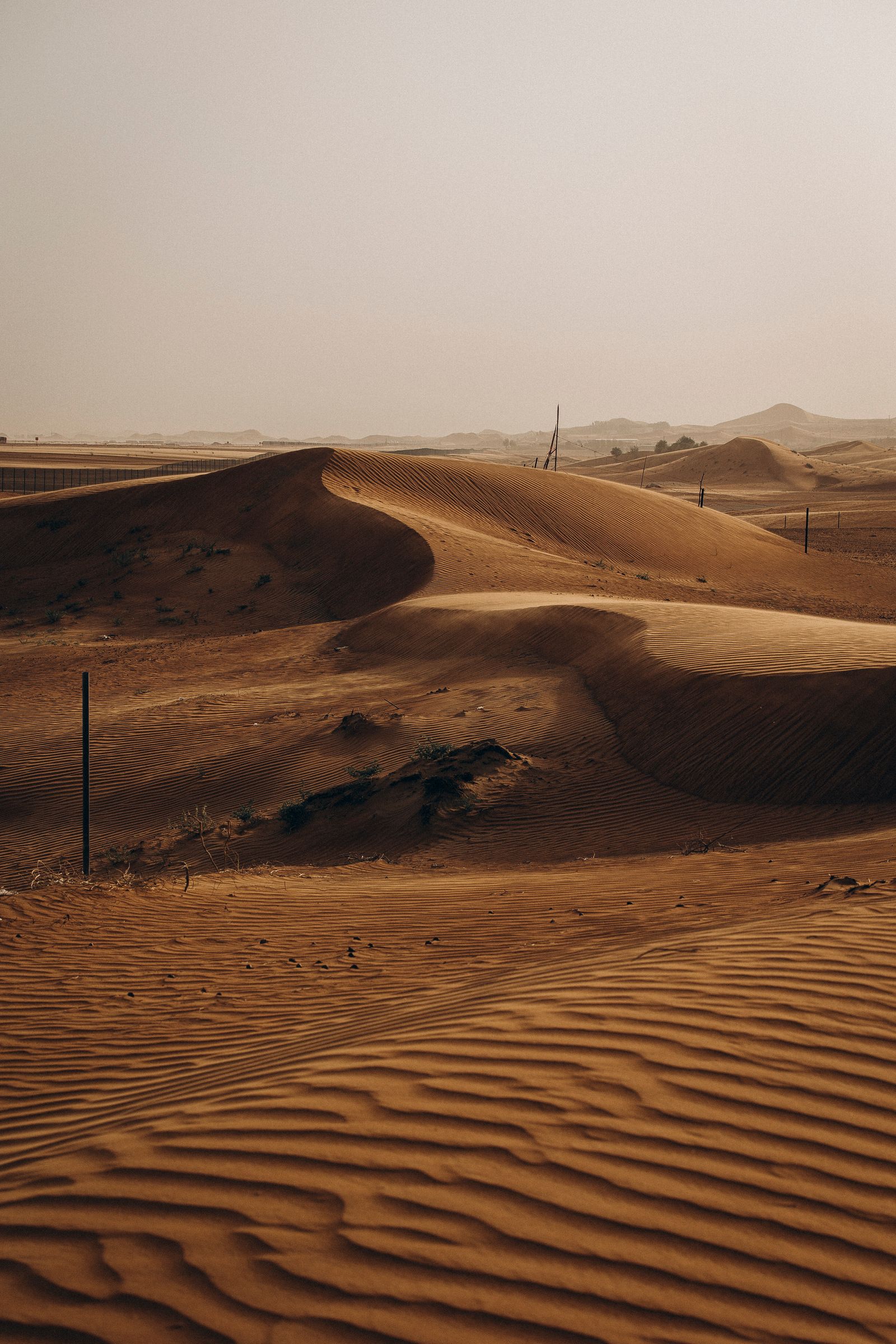 Al Ain Photos, Download The BEST Free Al Ain Stock Photos & HD Images