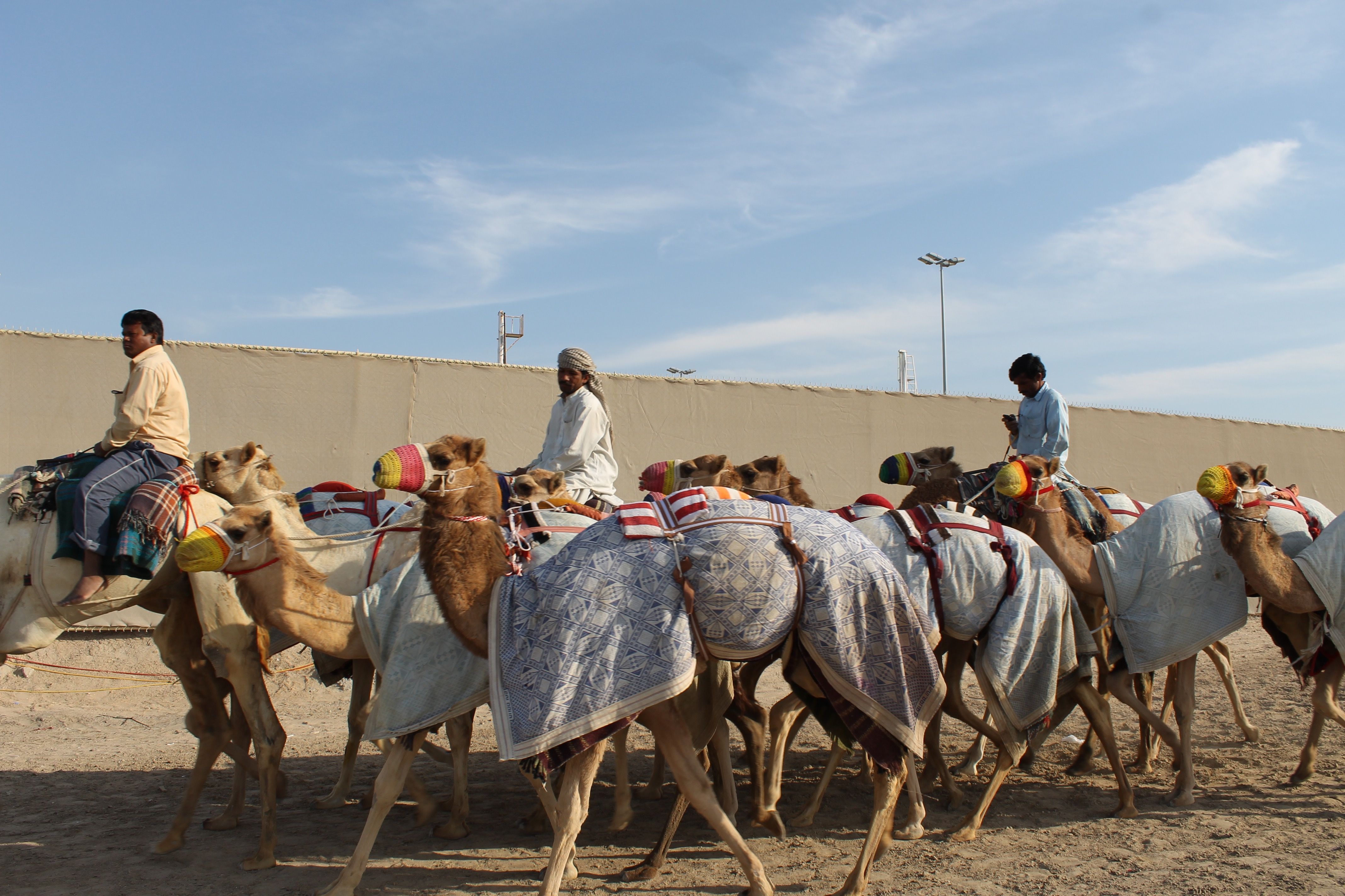 Camel Riders Journey Across Desert Landscape · Free Stock Photo