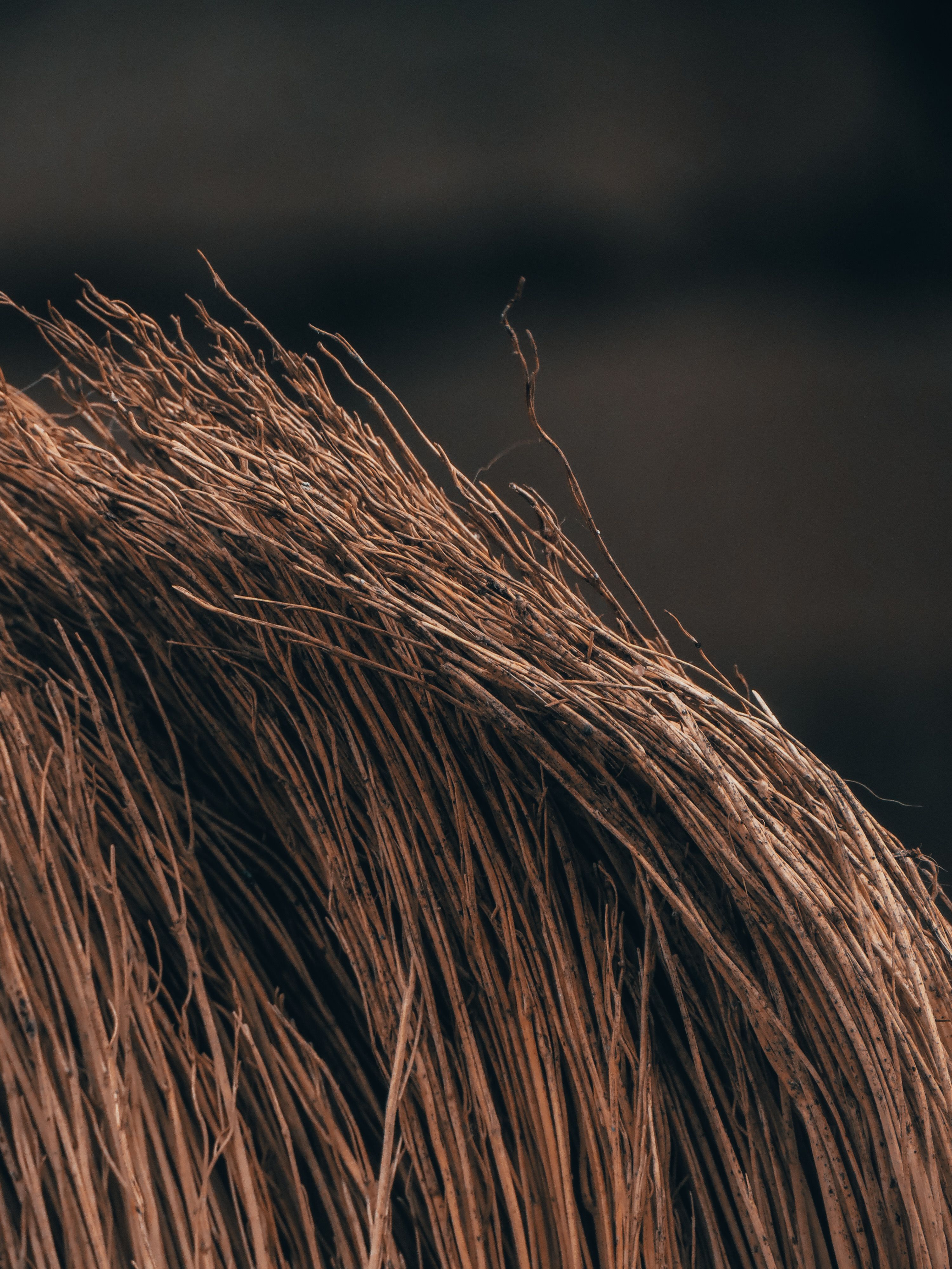 Close-up of Straw Broom with Rustic Texture · Free Stock Photo
