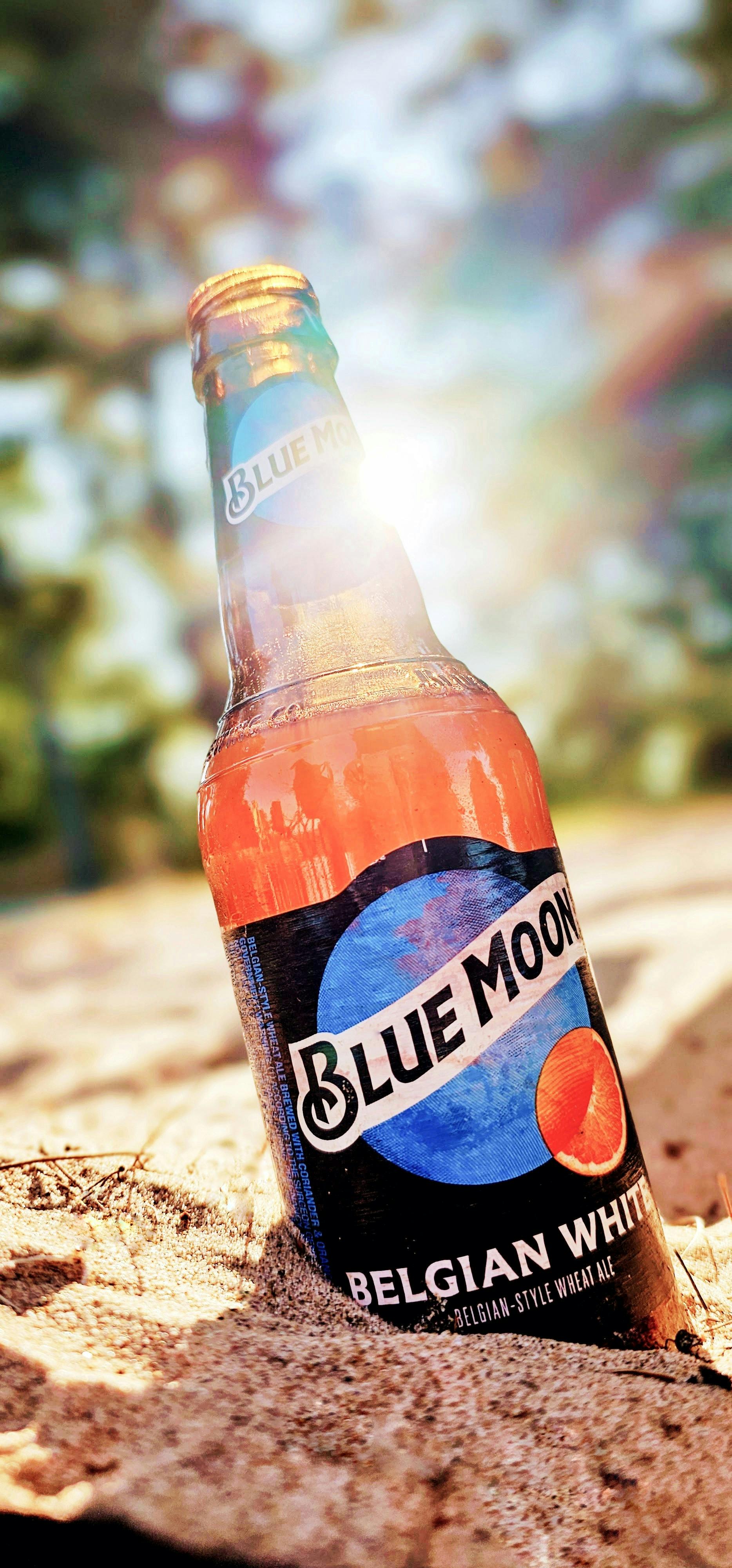 Blue Moon Belgian White Beer in Sand on Sunny Day · Free Stock Photo