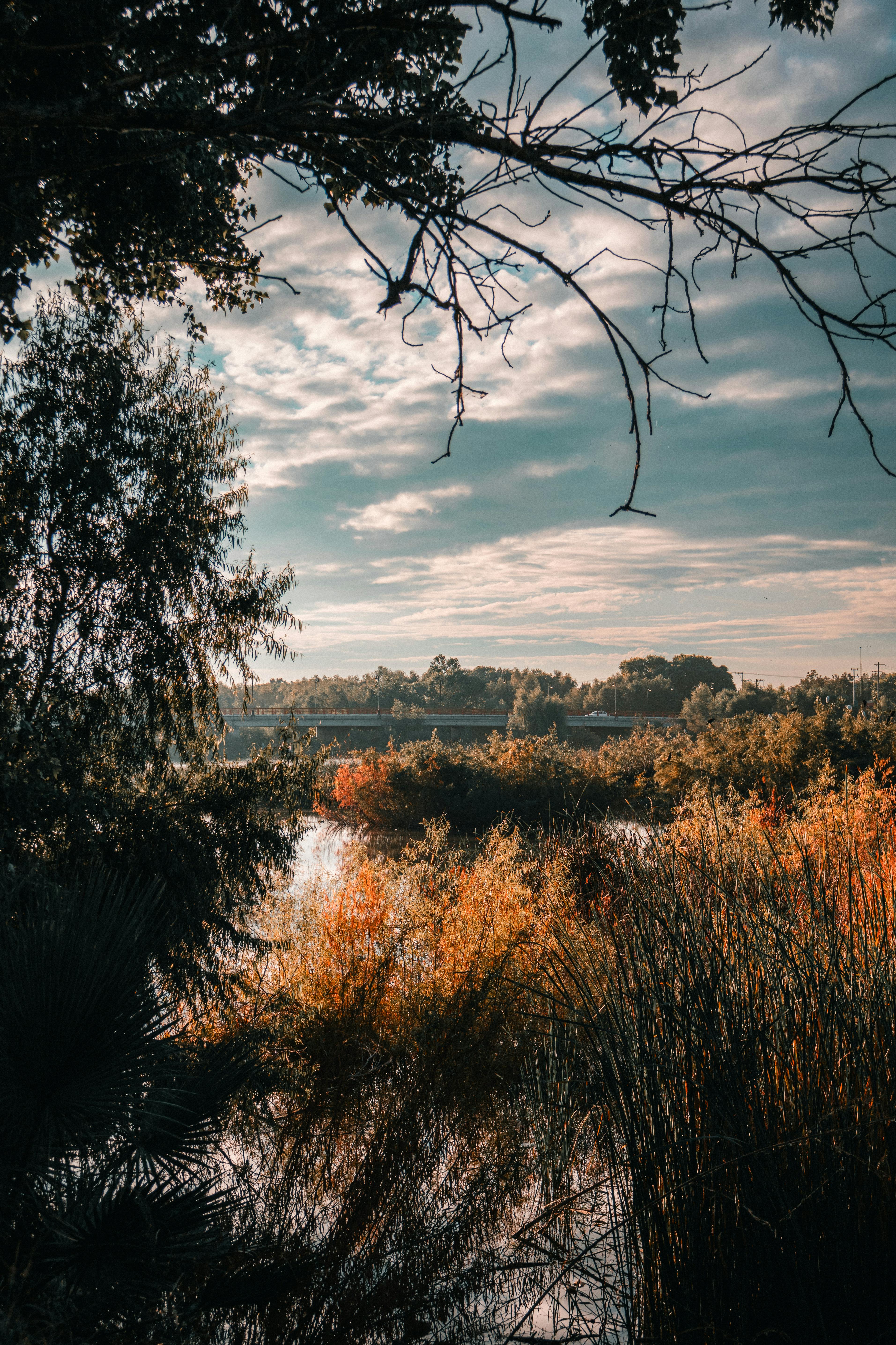 Scenic Autumn Landscape in Pedro Meoqui, Mexico · Free Stock Photo