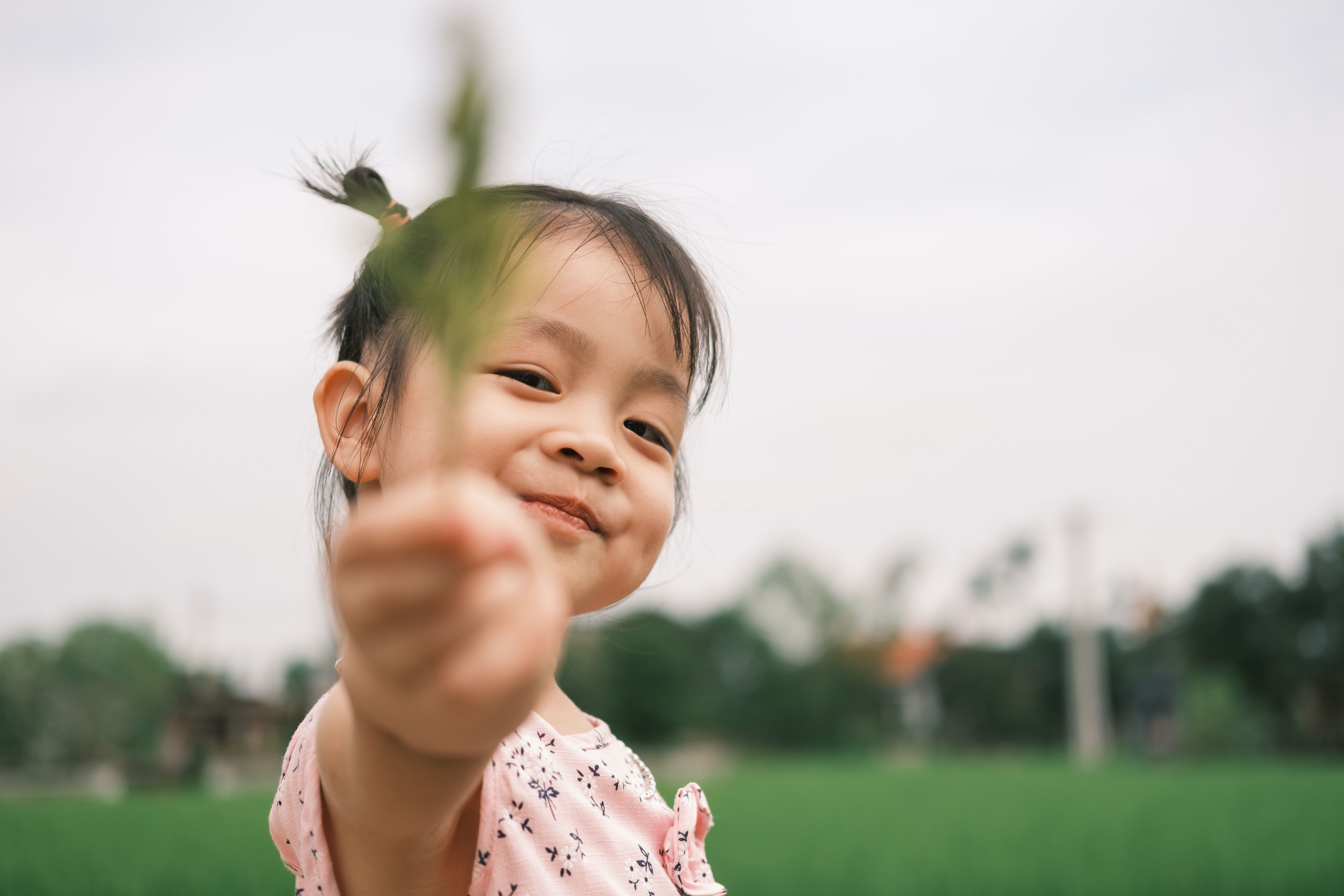 Joyful Child Holding Grass Outdoors in Summer · Free Stock Photo