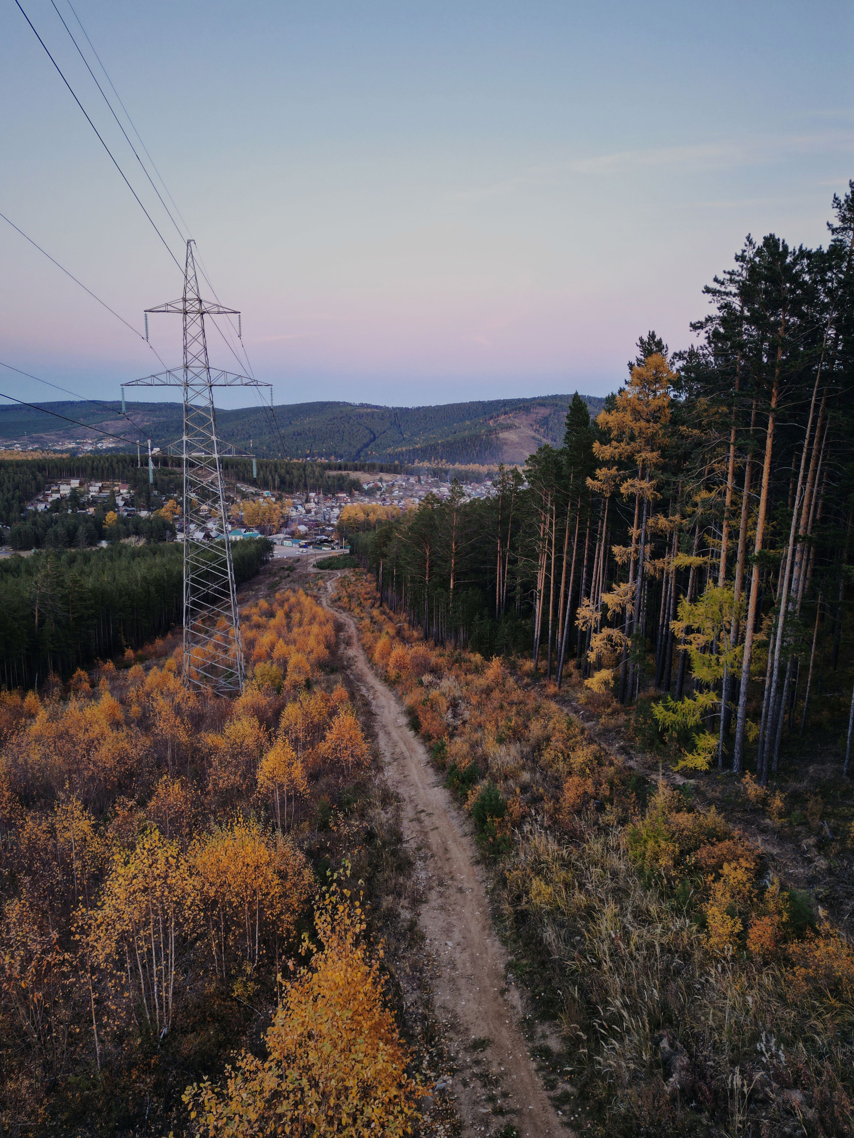 Autumn Forest with Power Lines at Dusk · Free Stock Photo