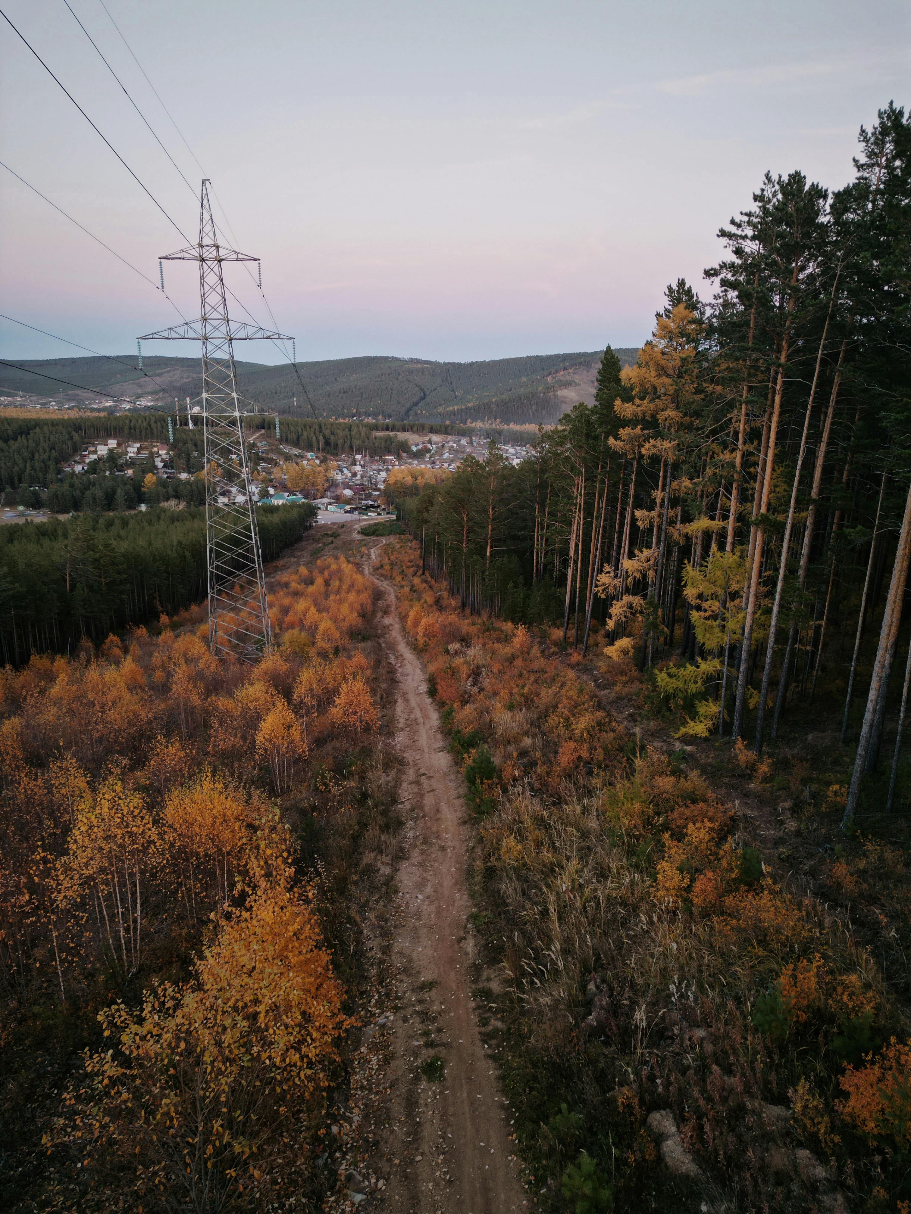 Aerial View of Autumnal Forest Pathway · Free Stock Photo