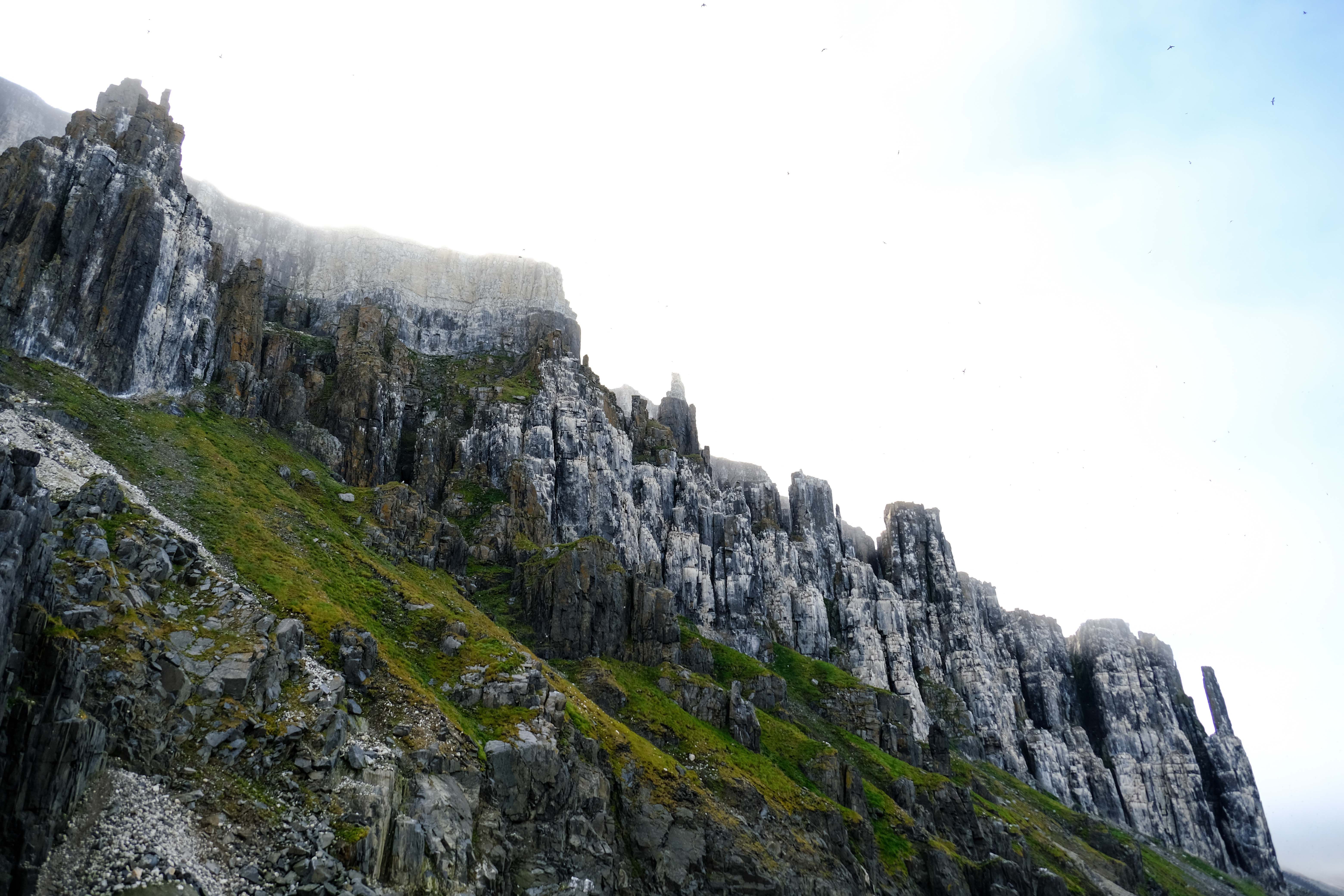 Dramatic Rocky Cliff with Lush Greenery · Free Stock Photo