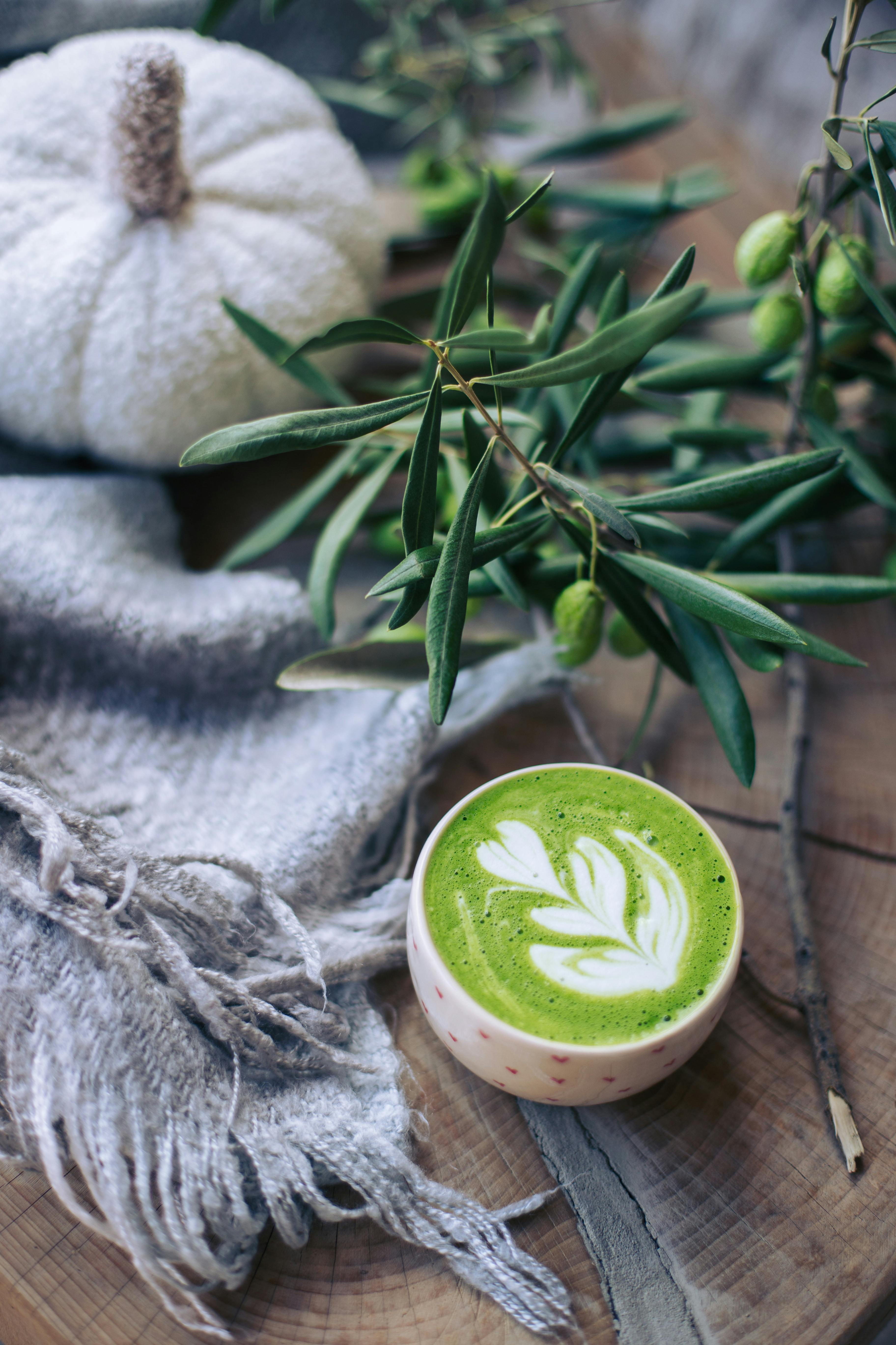 Cozy Autumn Matcha Latte with Olive Branch Decor · Free Stock Photo