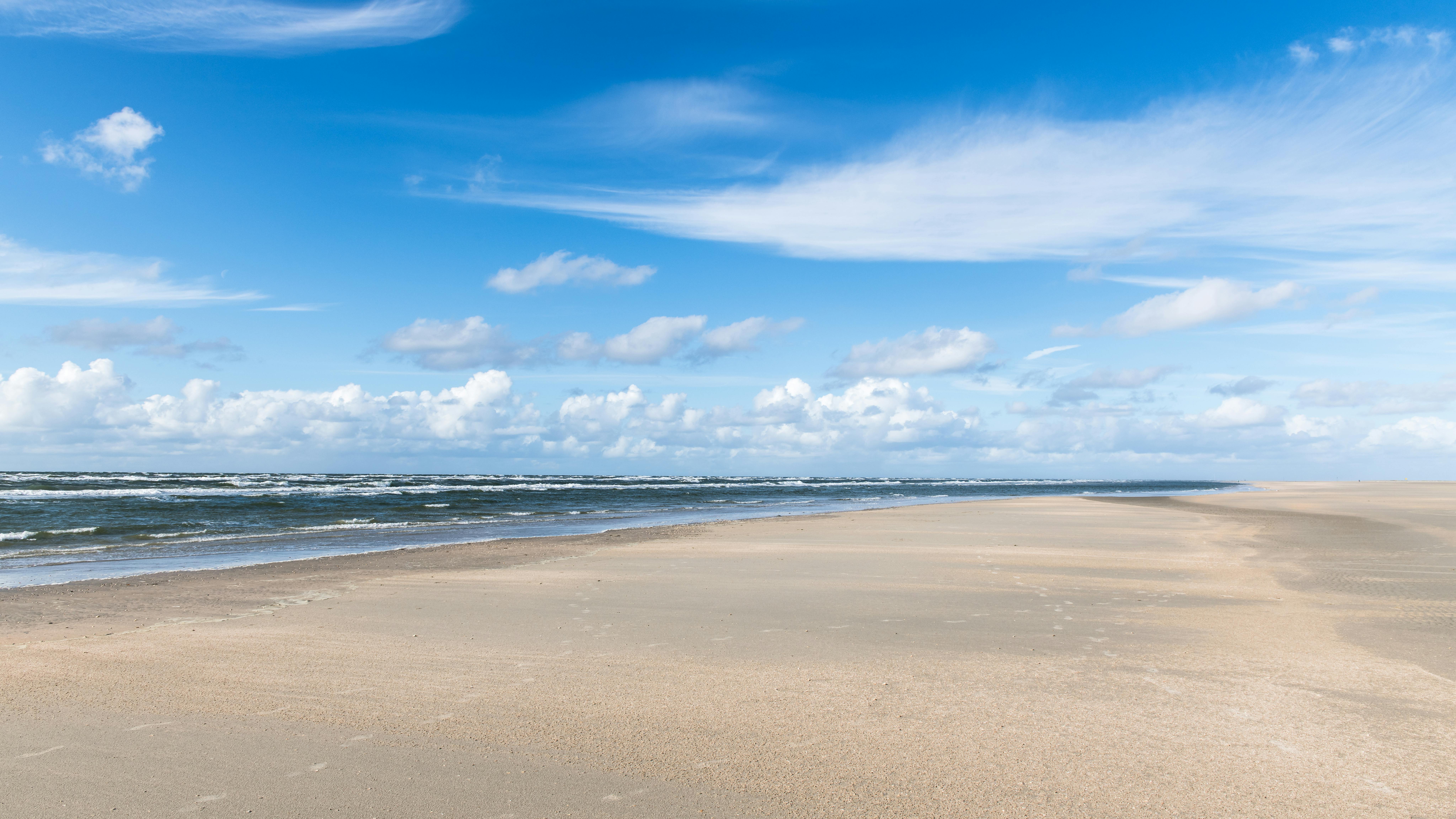 Serene Sandy Beach at Rømø, Denmark · Free Stock Photo