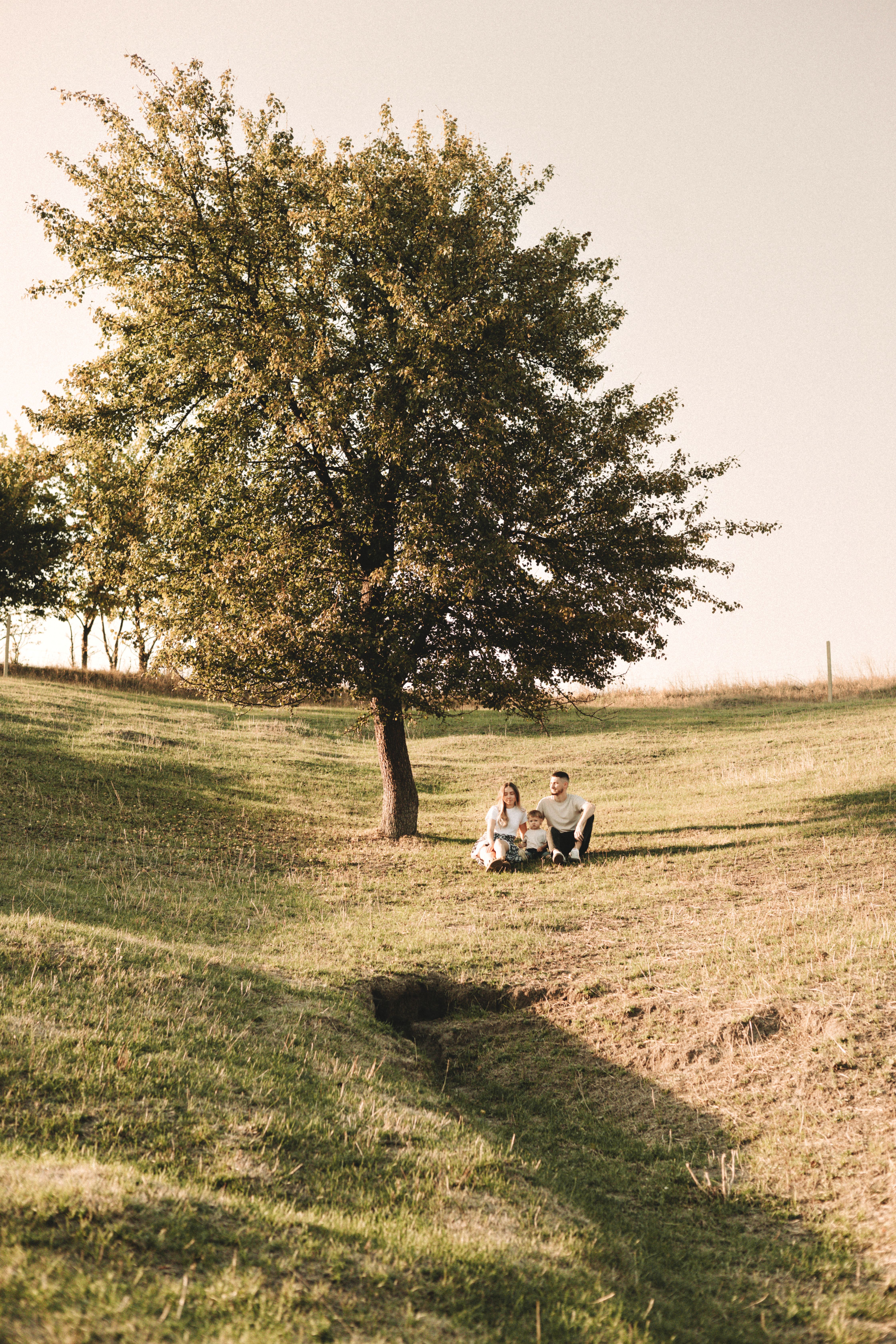 Family Relaxing Under a Tree in Scenic Meadow · Free Stock Photo