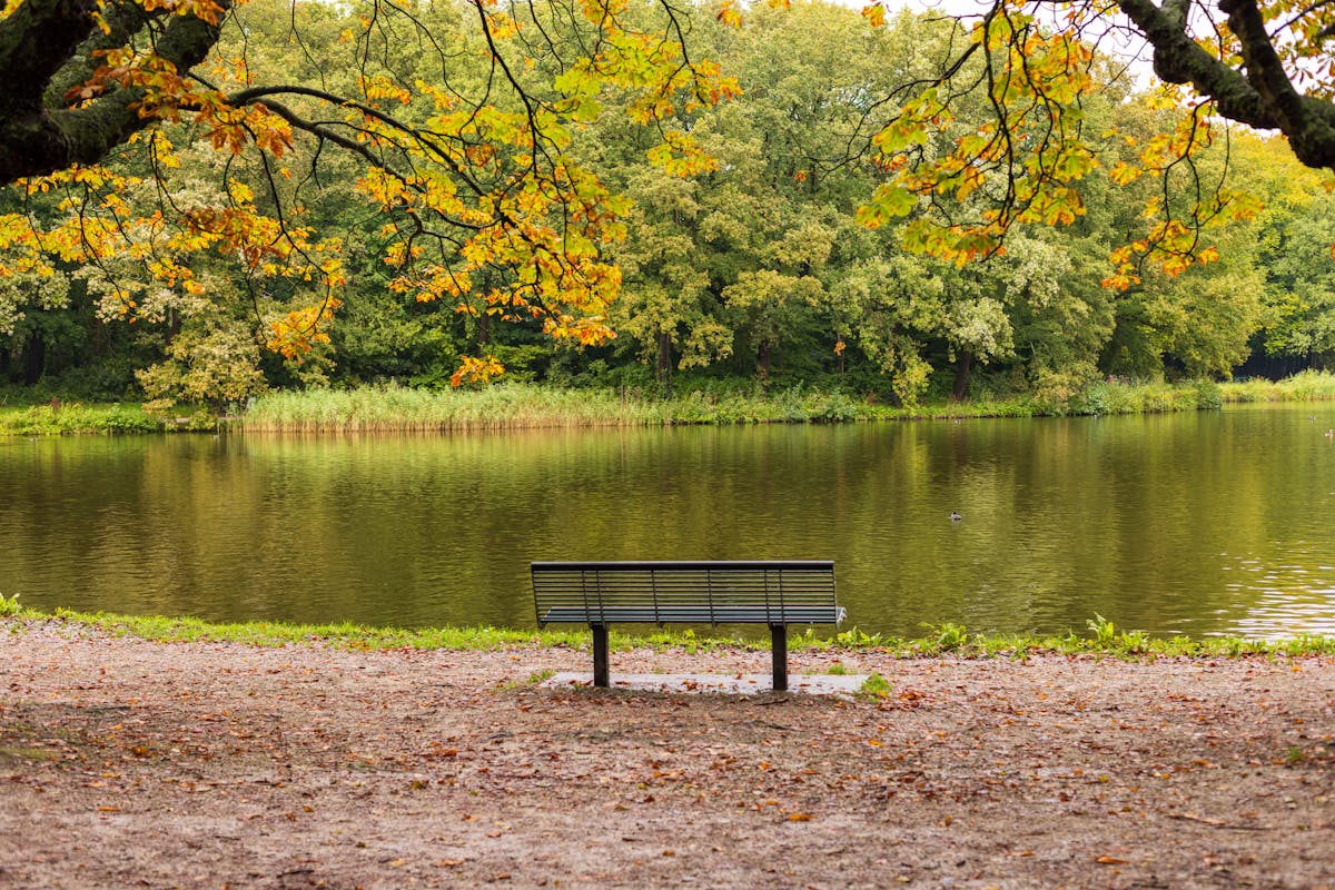 Autum Landscape Photos, Download The BEST Free Autum Landscape Stock ...