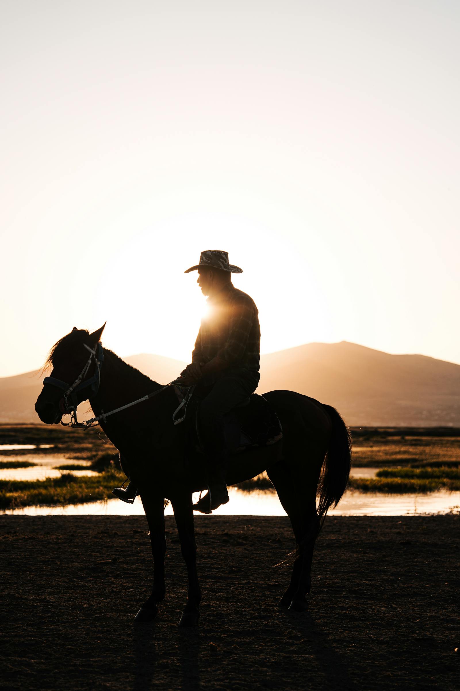 Cowboy Sunset Photos, Download The BEST Free Cowboy Sunset Stock Photos ...
