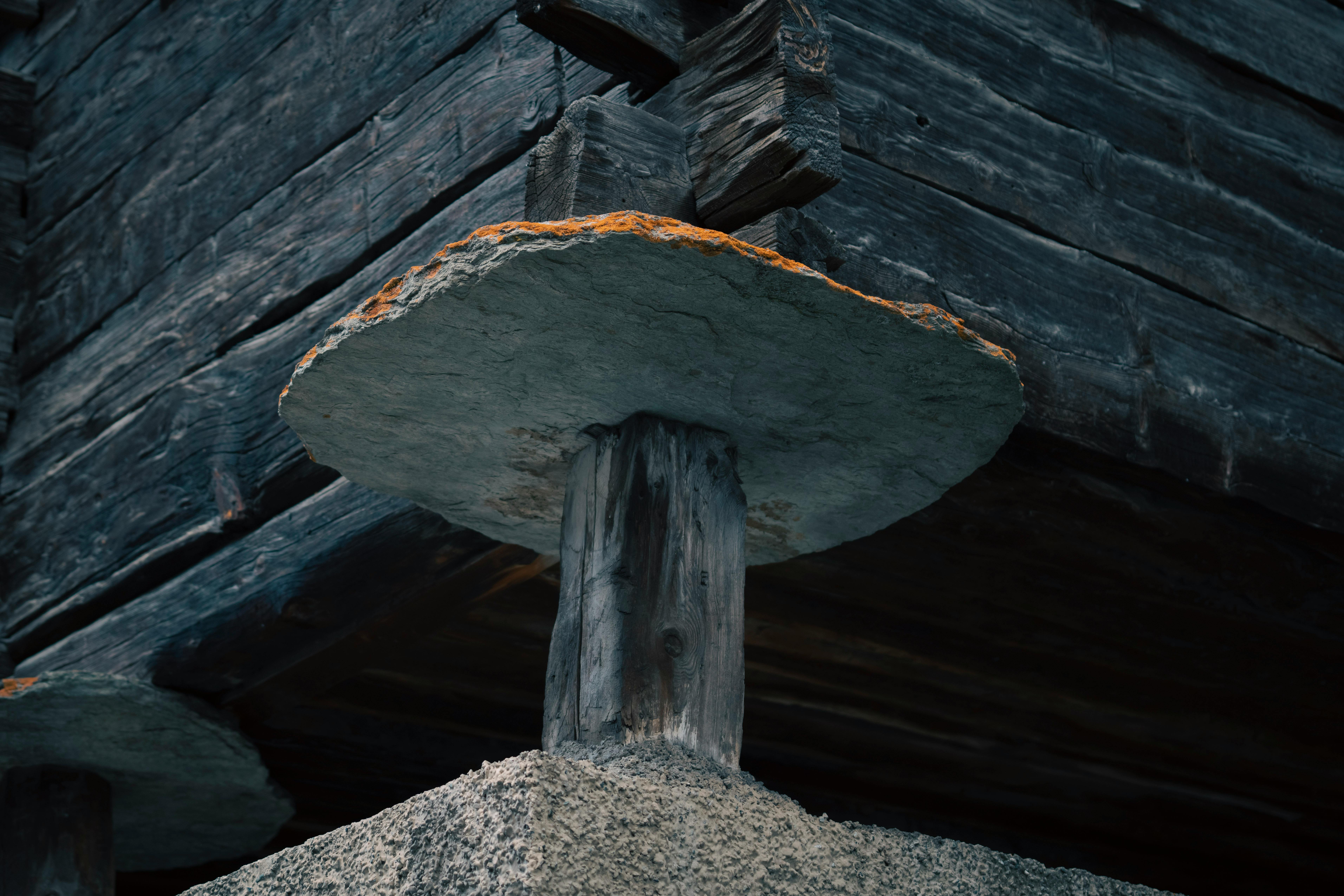 Rustic Timber and Stone Construction Detail · Free Stock Photo