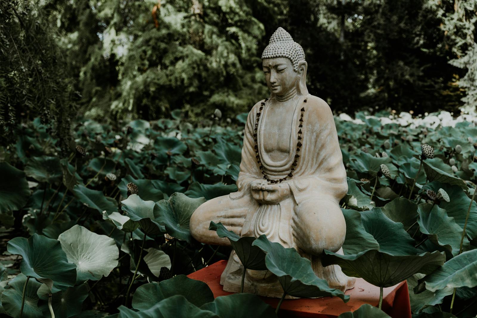 2,000+ Best Buddha Images · 100% Free Download · Pexels Stock Photos